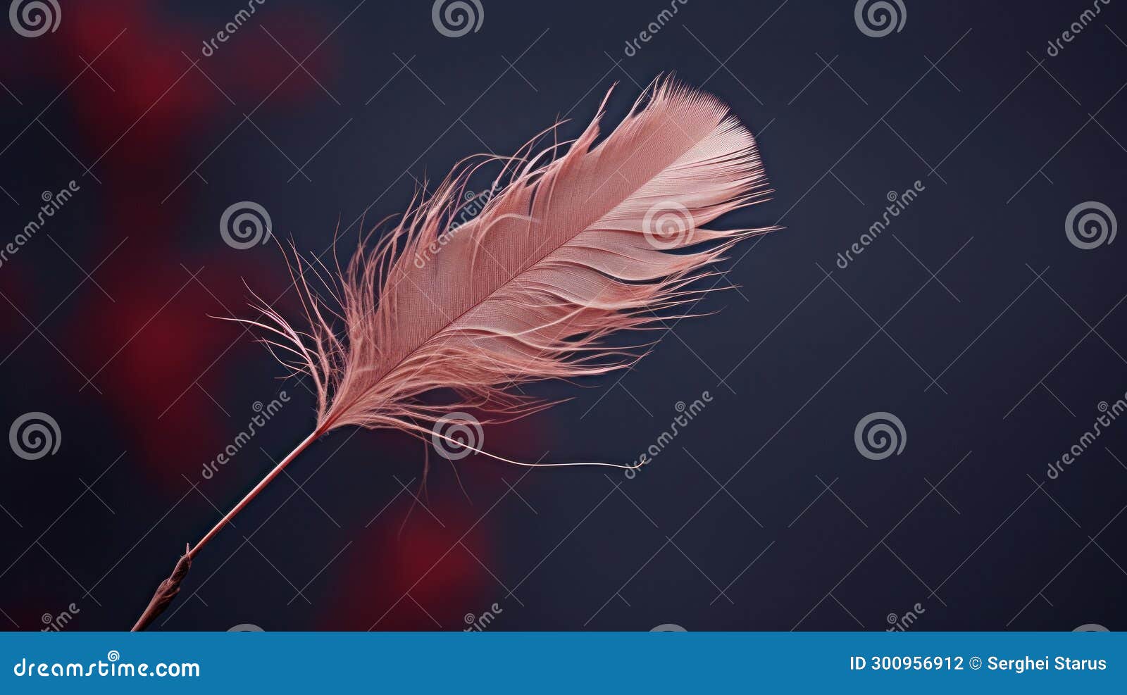 A Pink Feather is Sitting on a Table with Red Background, AI Stock ...