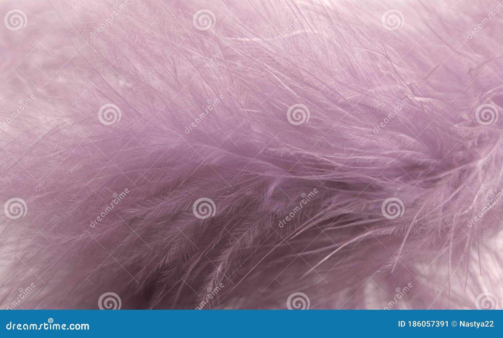 Pink Feather Texture Abstract Background Stock Image - Image of ...