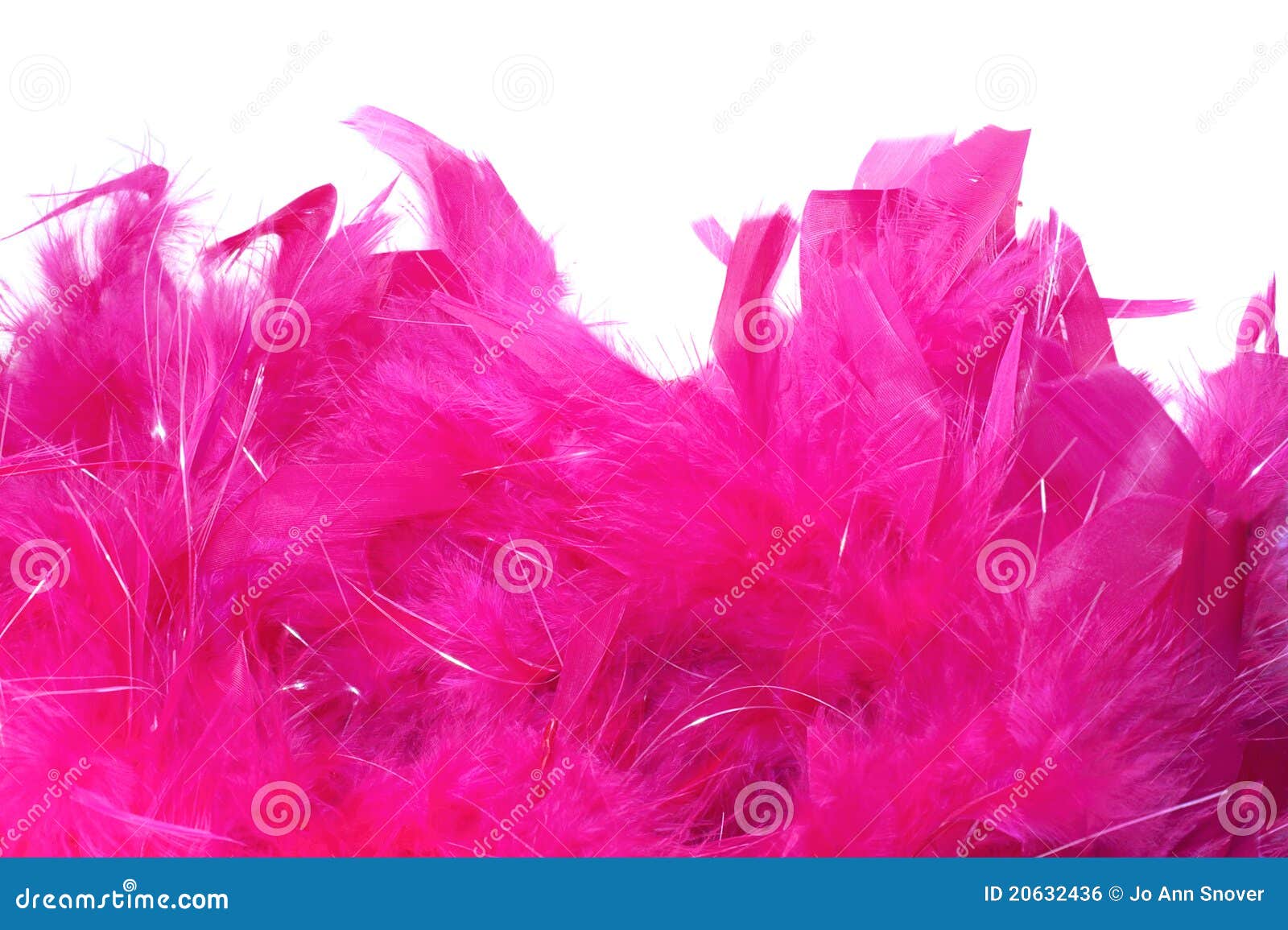 Pink feathers stock photo. Image of isolated, silver - 20632436