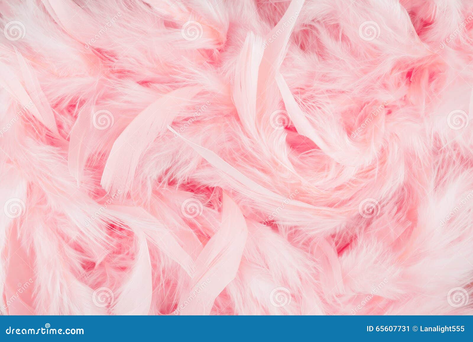 Pink feathers background stock image. Image of closeup - 65607731