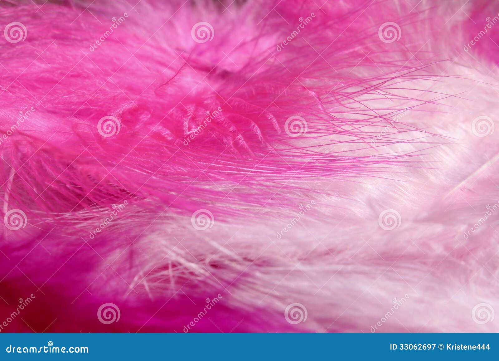 Pink Feathers stock image. Image of bird, abstract, gentle - 33062697