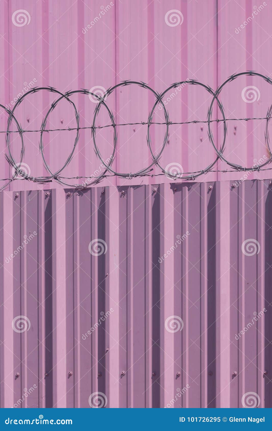 Pink barbed wire fence stock image. Image of background - 101726295