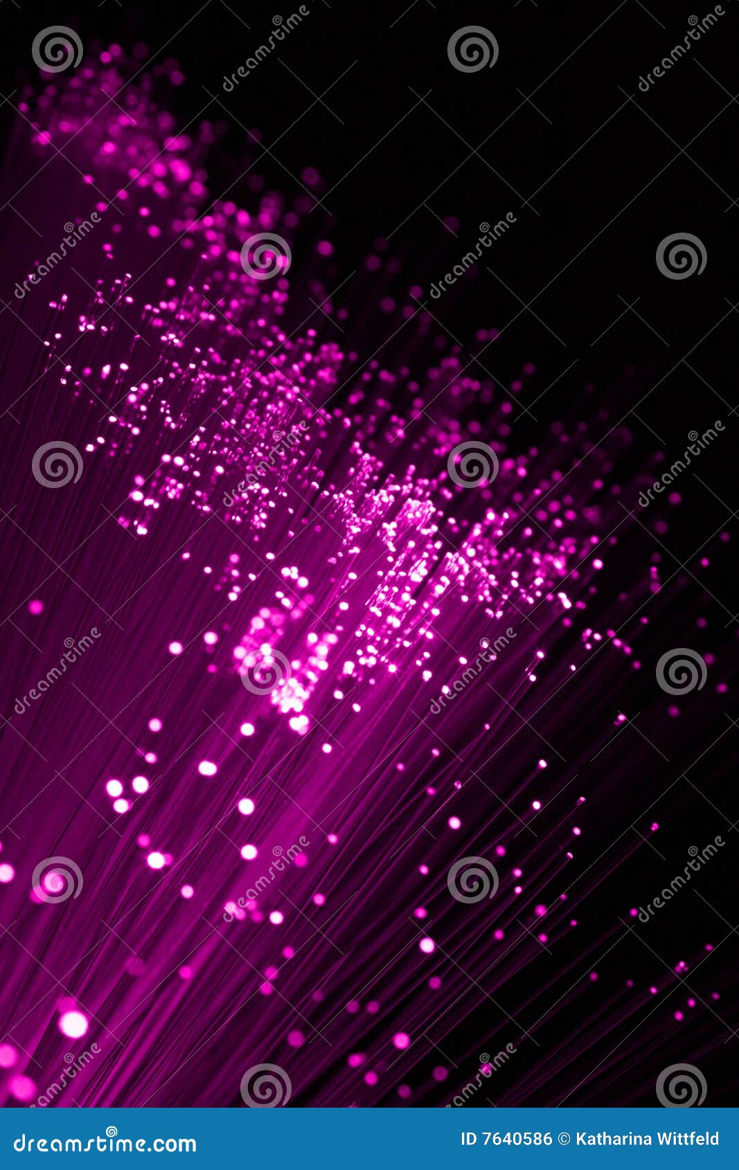 Pink Fiber stock photo. Image of cable, information, transatlantic ...