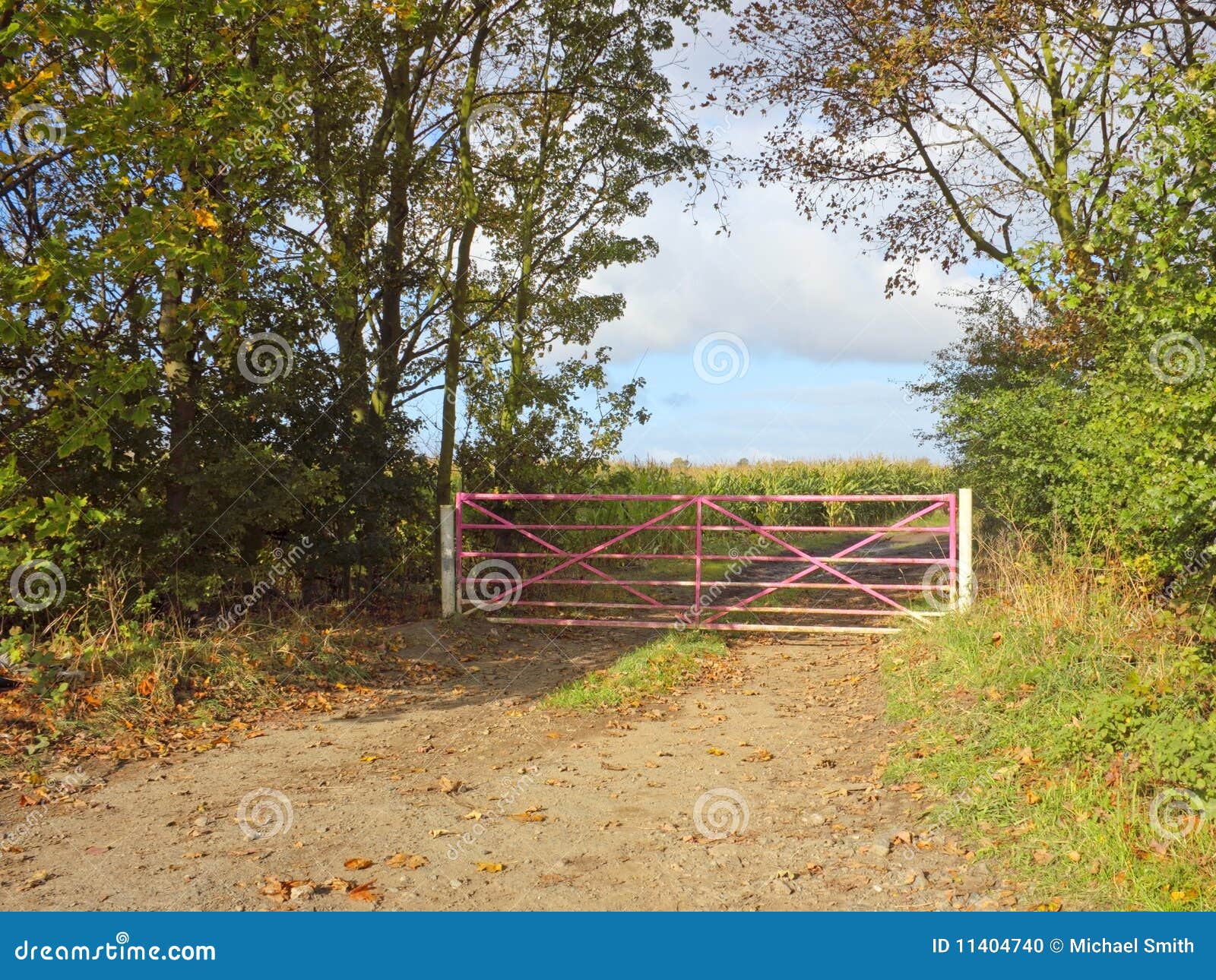 Pink field gate stock photo. Image of yellow, metal, colors - 11404740