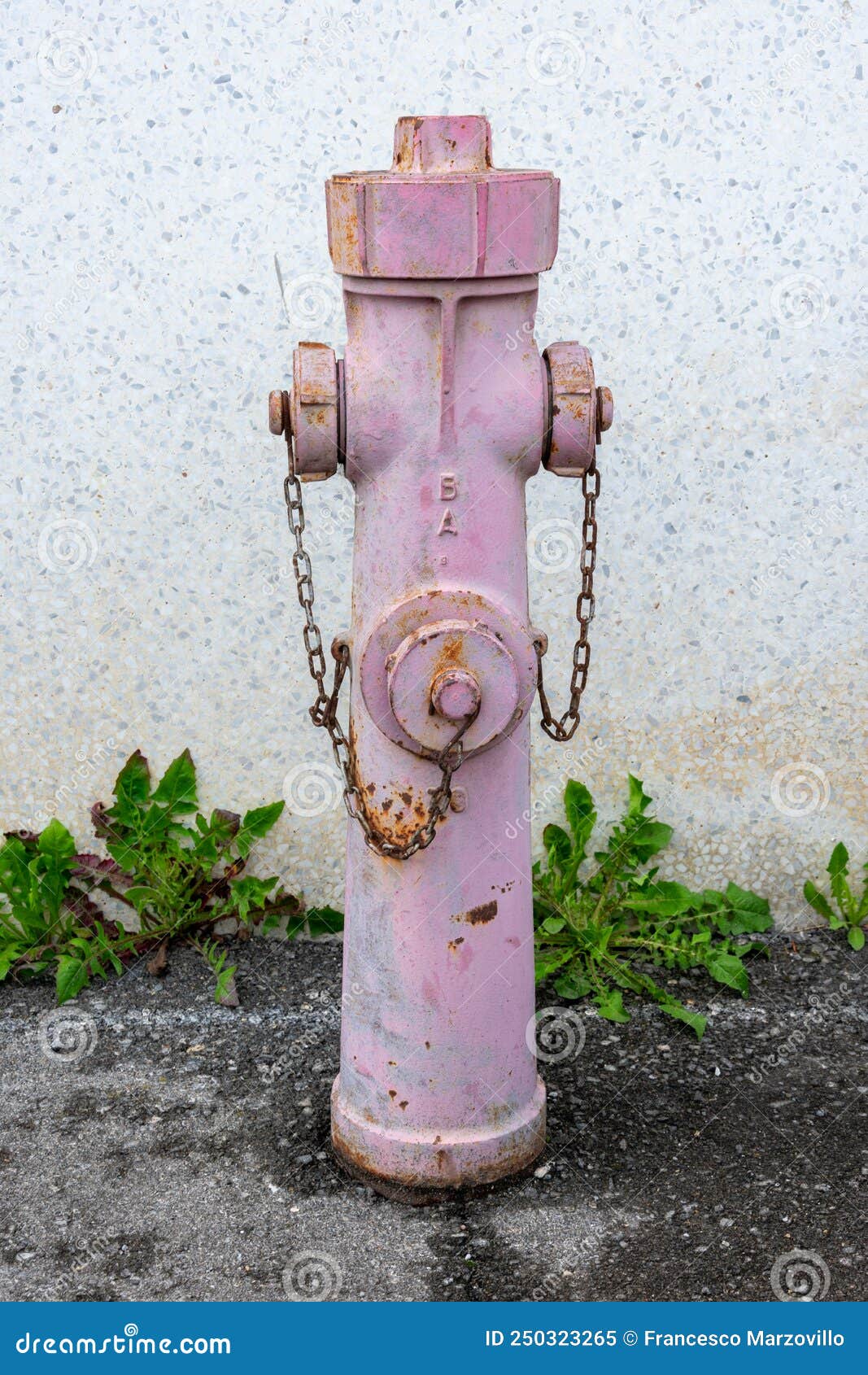 Pink fire hydrant stock image. Image of outdoor, city - 250323265