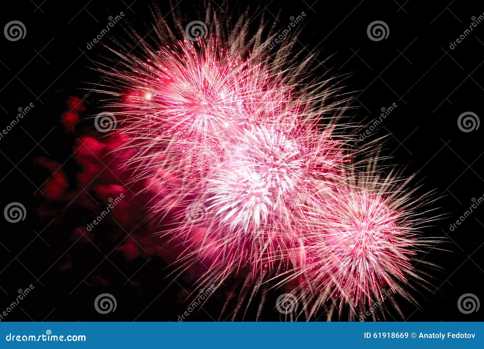 Pink Fireworks Display on Dark Sky Background. Stock Image - Image of ...