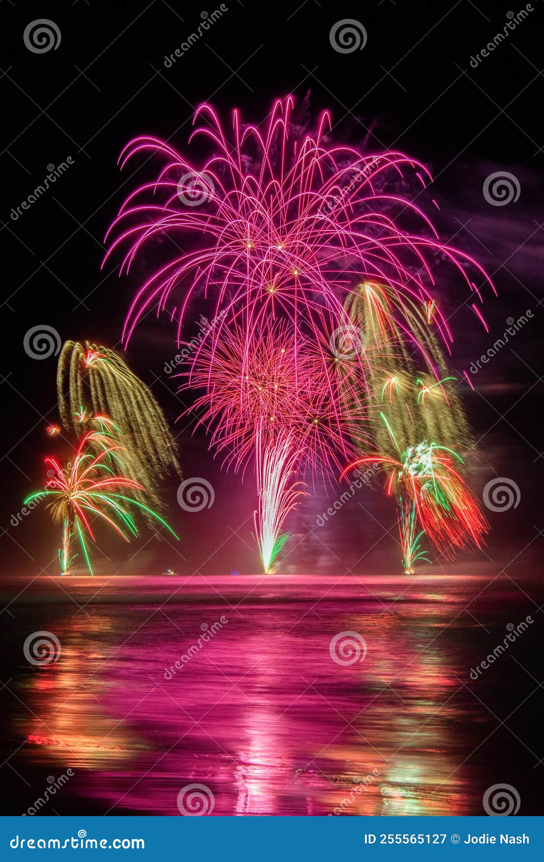 Pink Fireworks Exploding Over the Ocean Stock Image - Image of pink ...