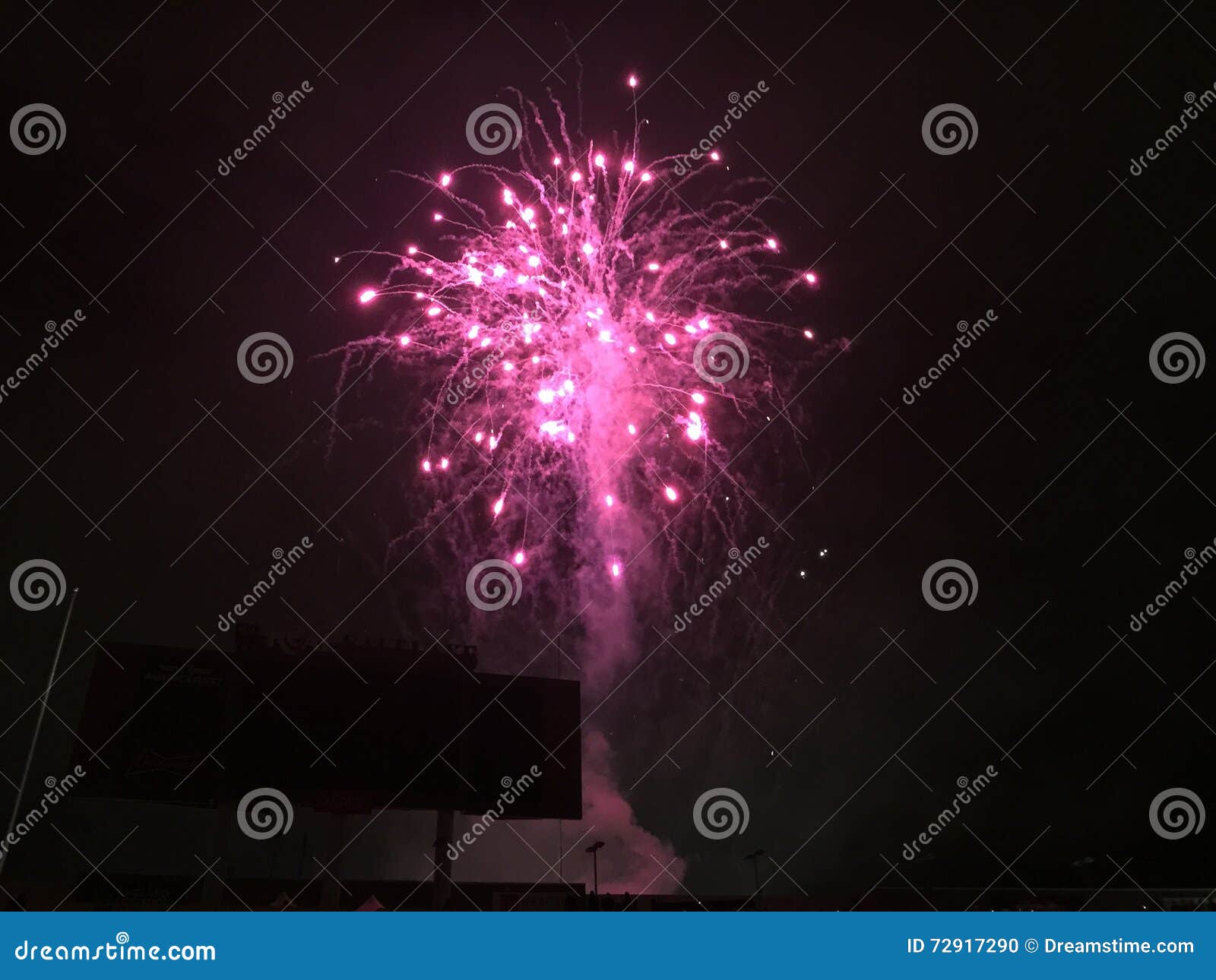 Pink Fireworks stock photo. Image of tree, pink, like - 72917290