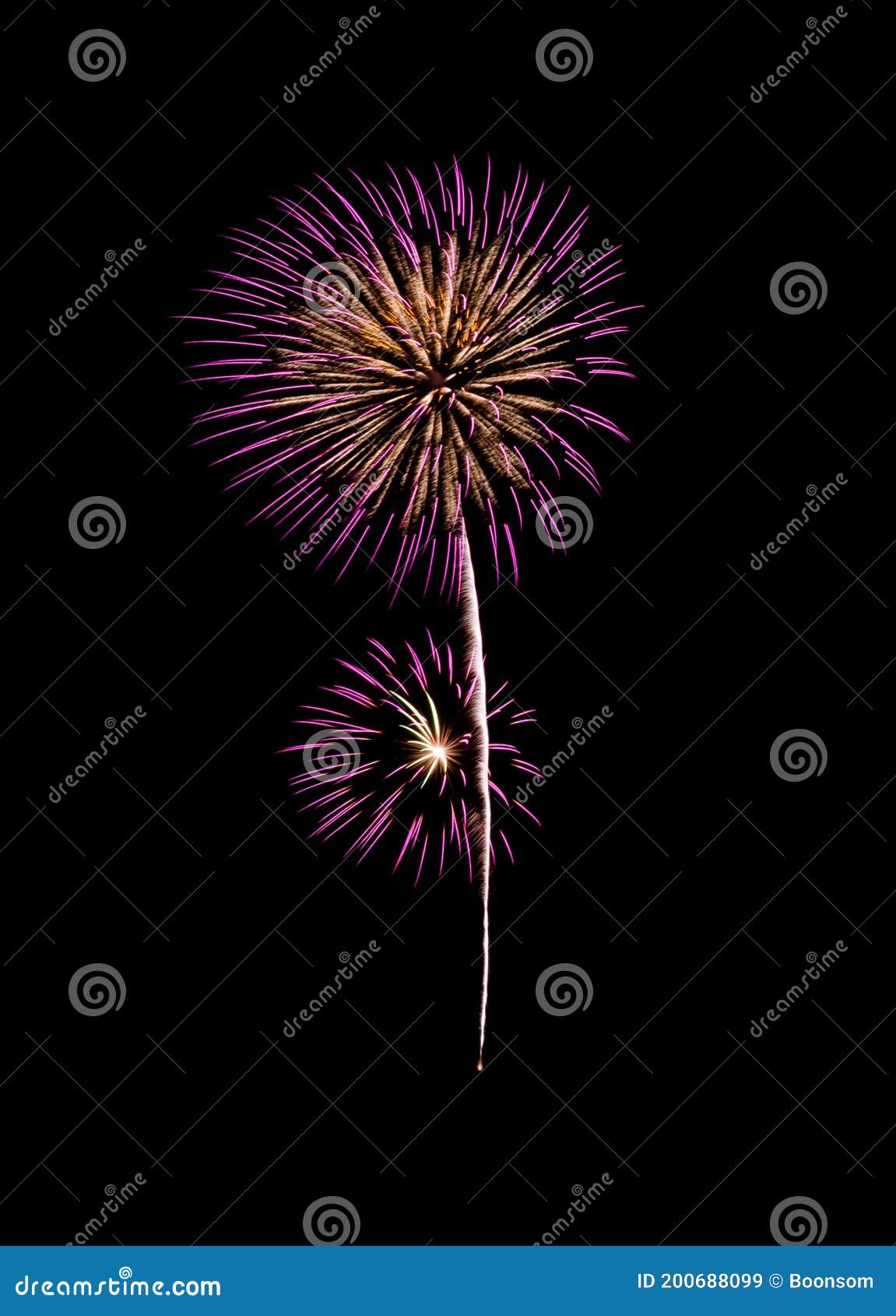 Pink Fireworks Sparkling on Night Sky Stock Image - Image of concept ...