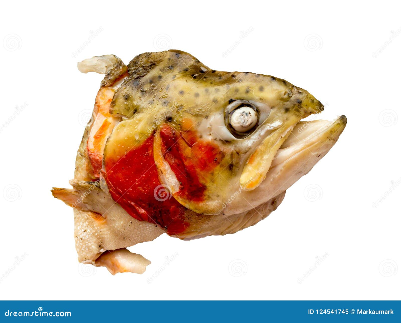 The Fish object. stock image. Image of fish, appetizer - 124541745