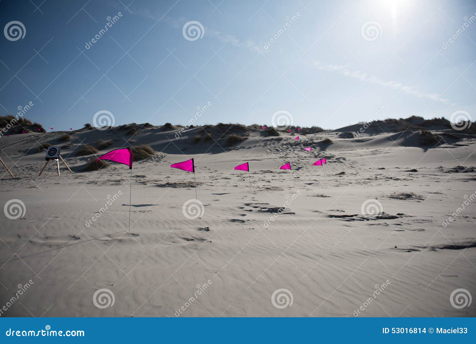 Pink Flags on the Beach stock photo. Image of holiday - 53016814