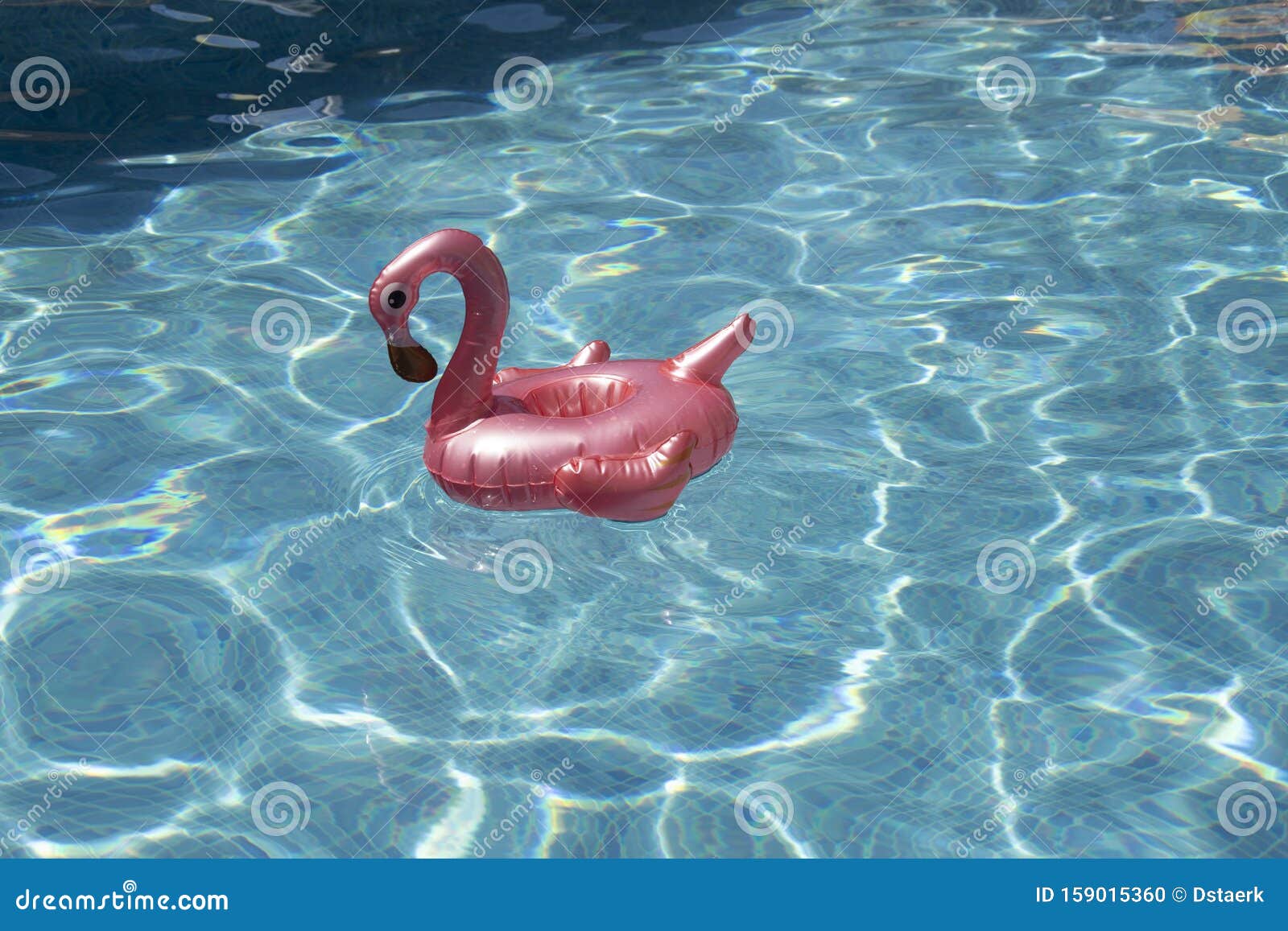 PINK FLAMINGO in a SWIMMING POOL Stock Photo - Image of relaxation ...