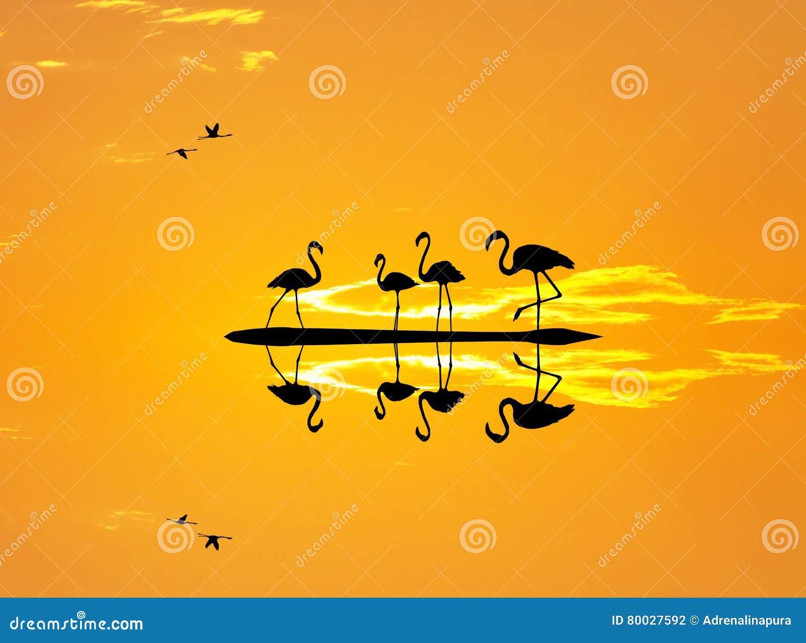 Pink flamingos at sunset stock illustration. Illustration of birds ...