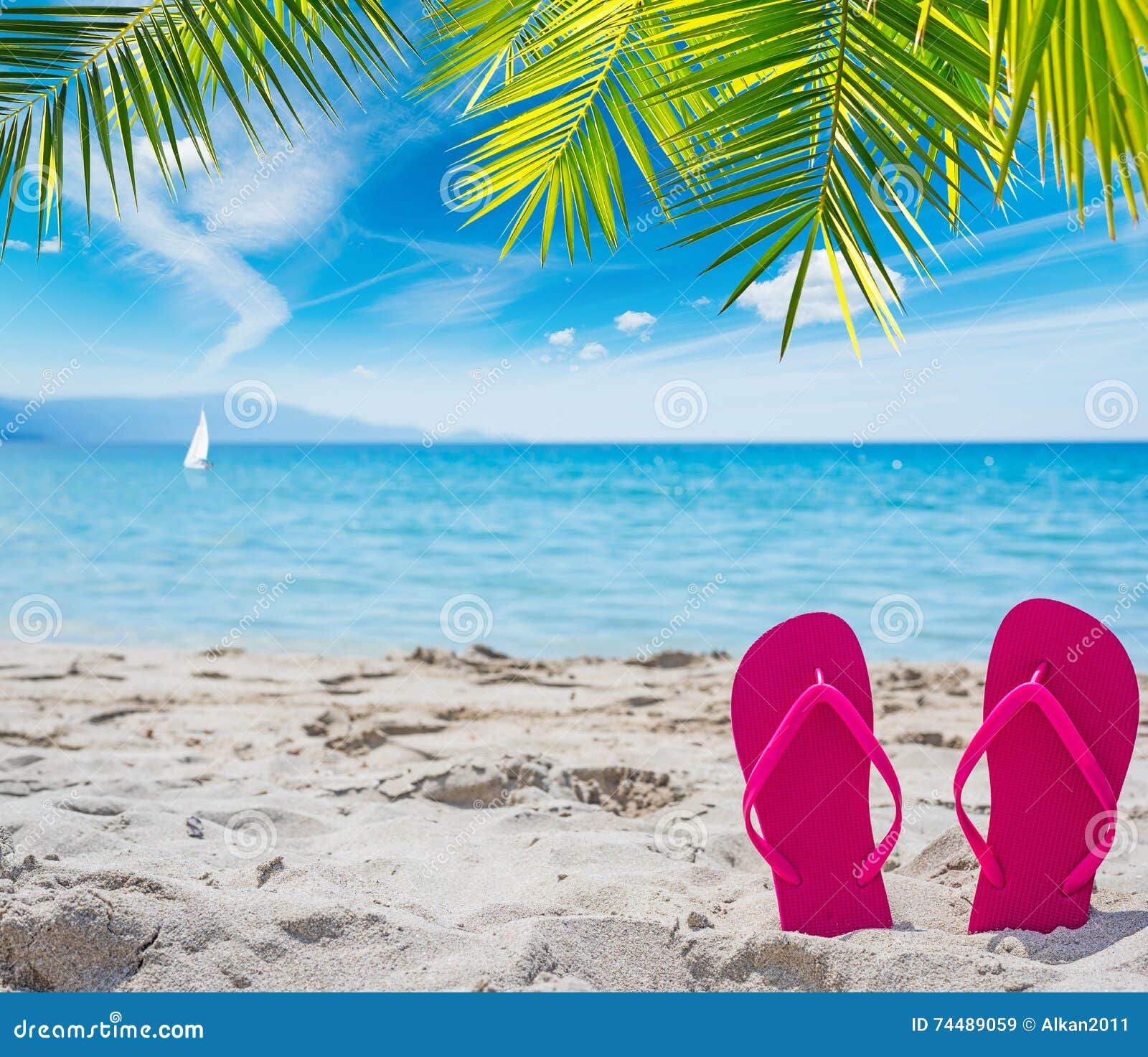 Pink Flip Flops Under a Palm Tree Stock Image - Image of paradise ...