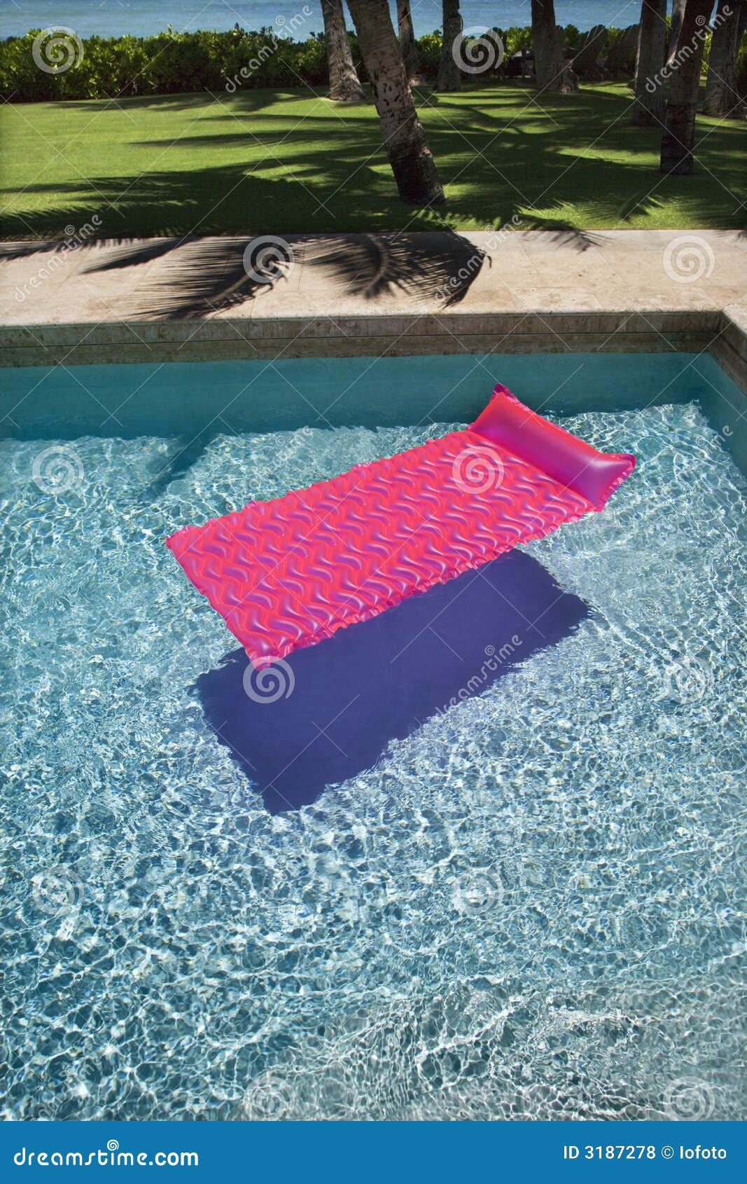 Pink Float In Swimming Pool. Stock Photo | CartoonDealer.com #3187278