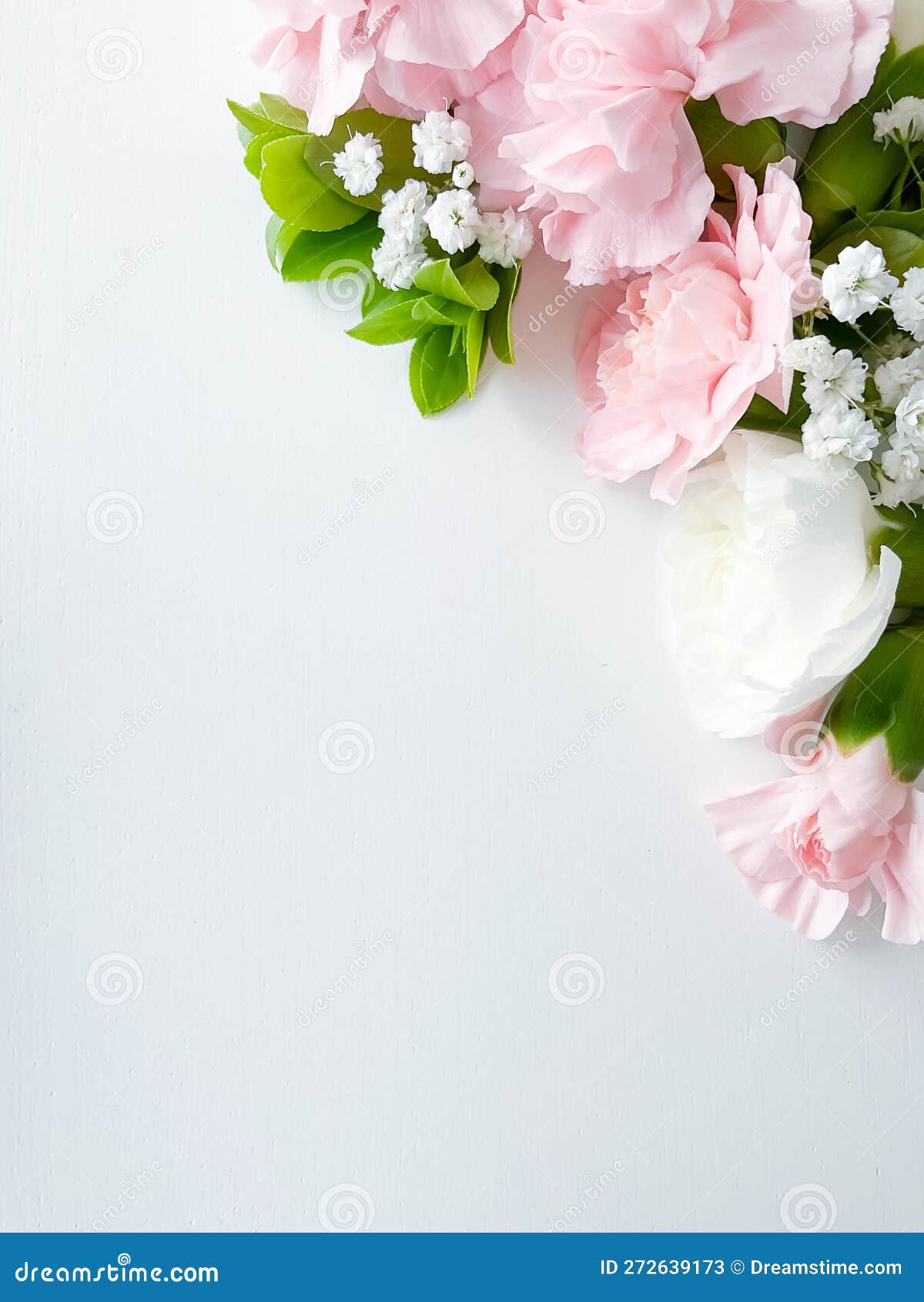 Pink Floral. Assorted Pink Flowers Border on White Stock Image - Image ...