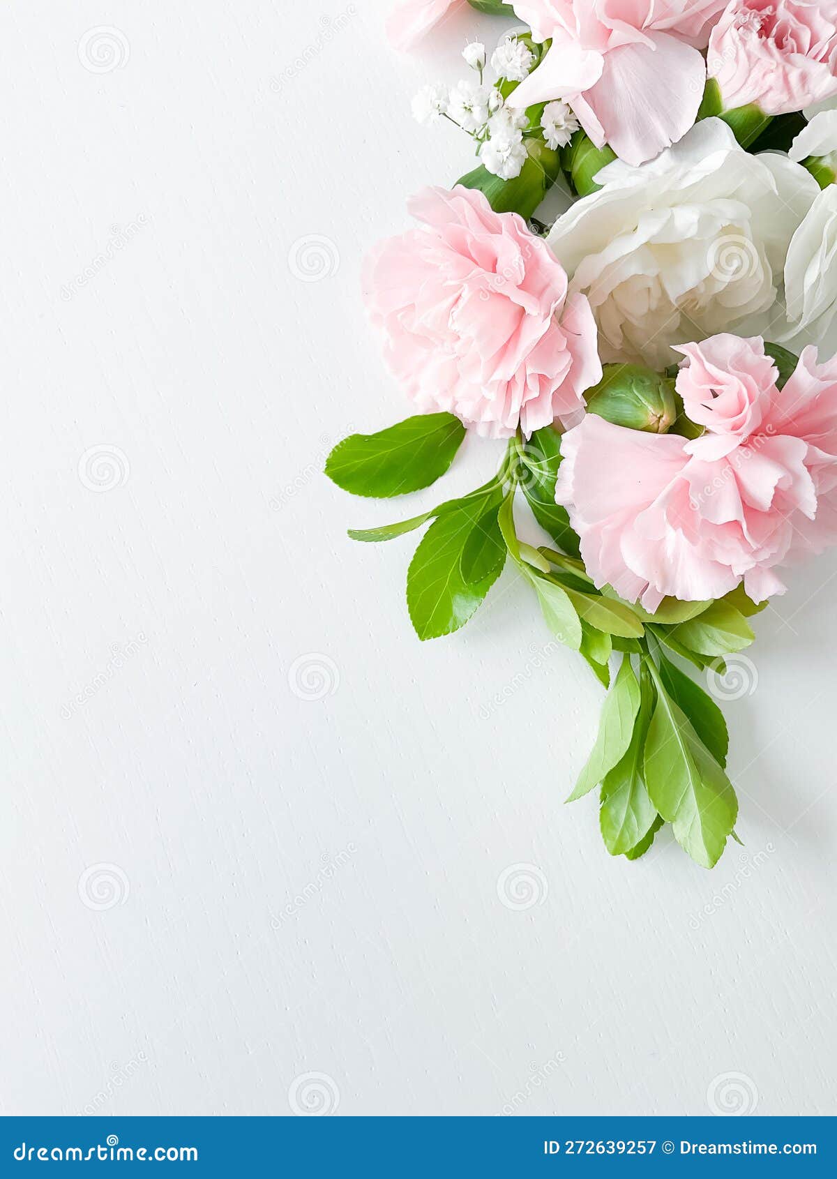 Pink Floral. Assorted Pink Flowers Border on White Stock Image - Image ...