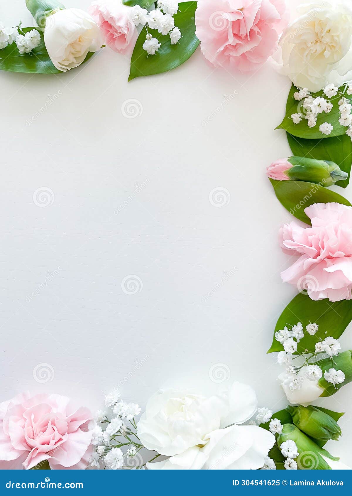 Pink Floral. Assorted Pink Flowers Border on White Stock Image - Image ...