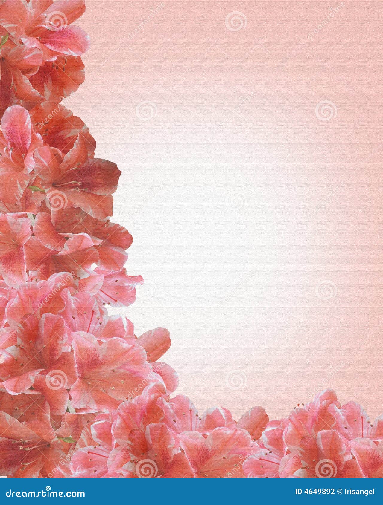 Pink Floral Border on Canvas Stock Illustration - Illustration of ...