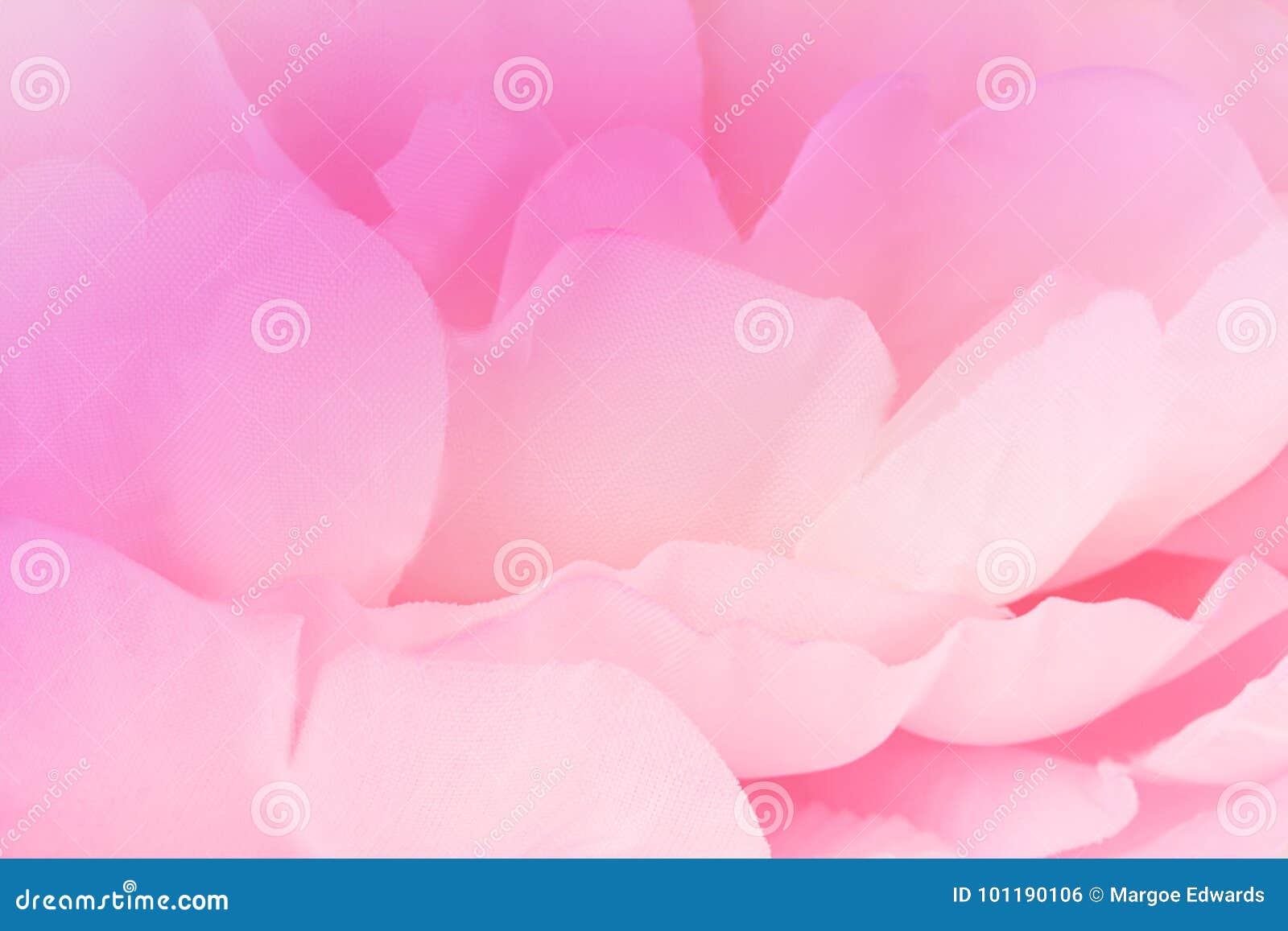 Pink Floral Texture Background Stock Photo - Image of horizontal ...