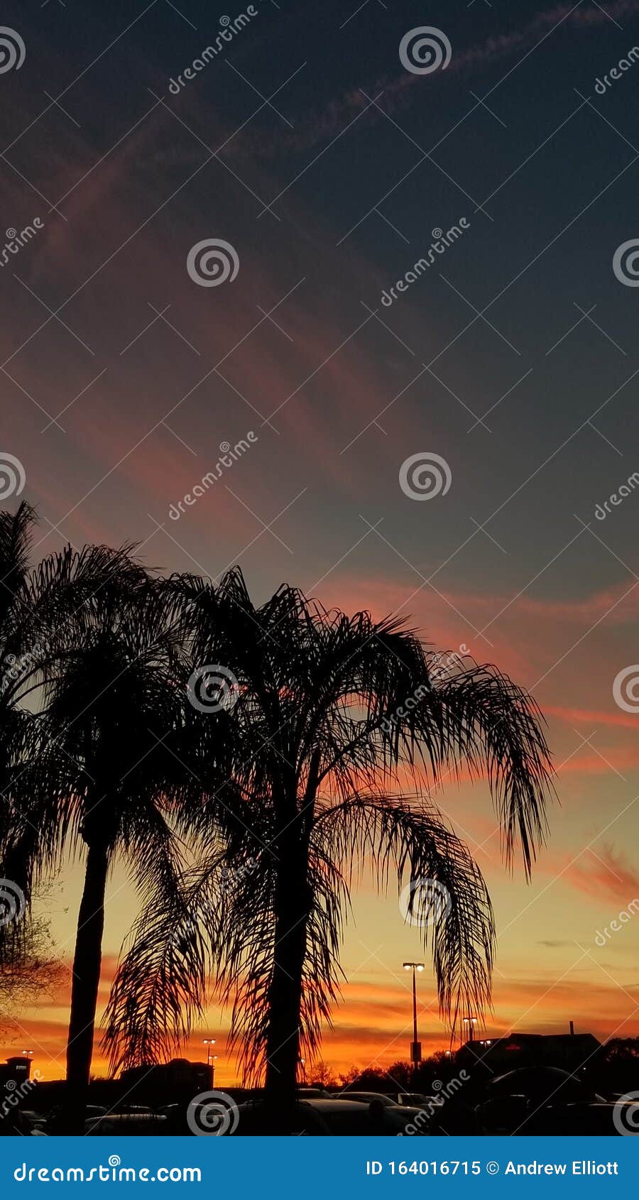 Pink Florida Sunset from Dysney Parking Lot Stock Image - Image of pink ...