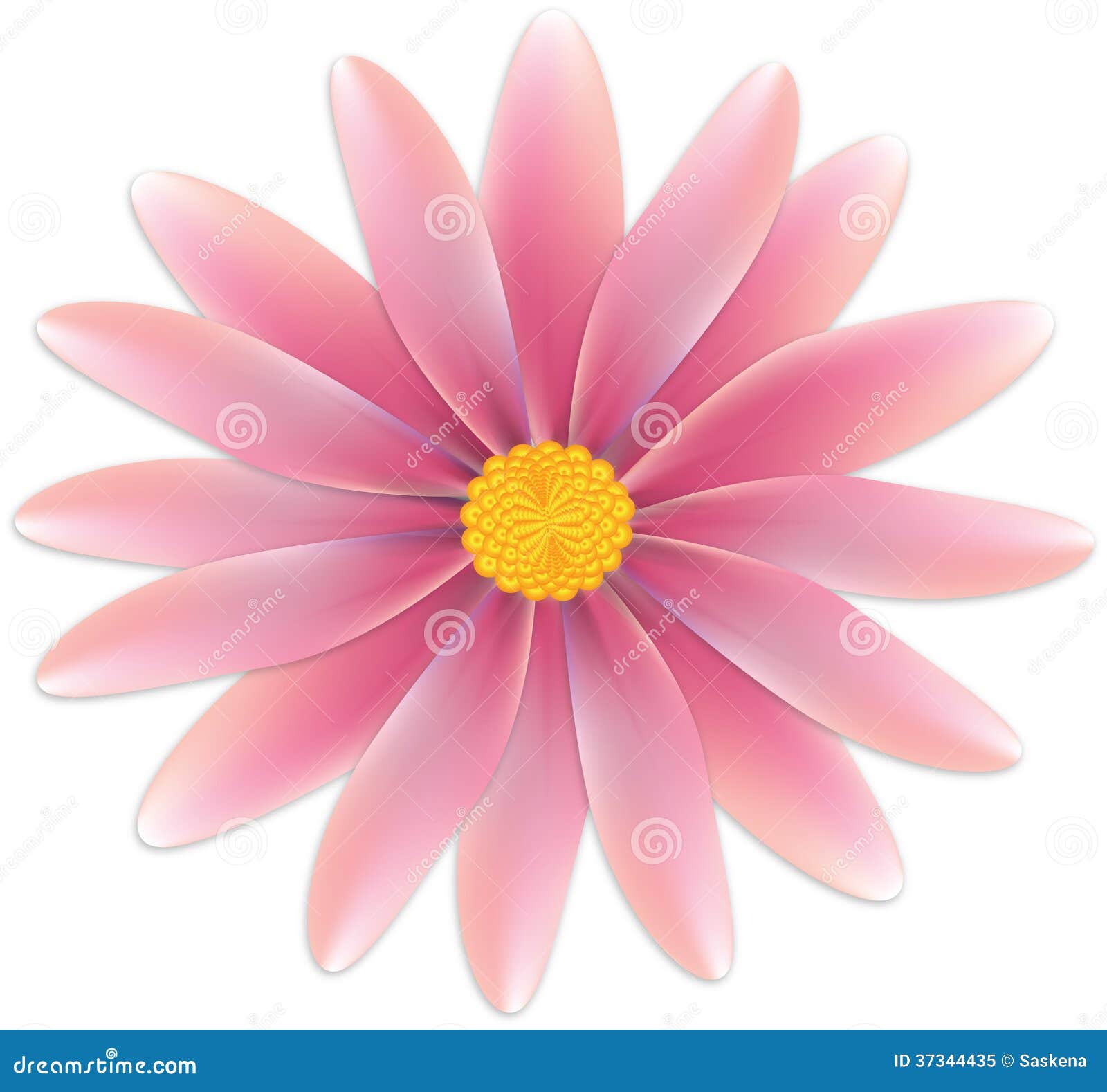 Pink Flower stock illustration. Illustration of painting - 37344435