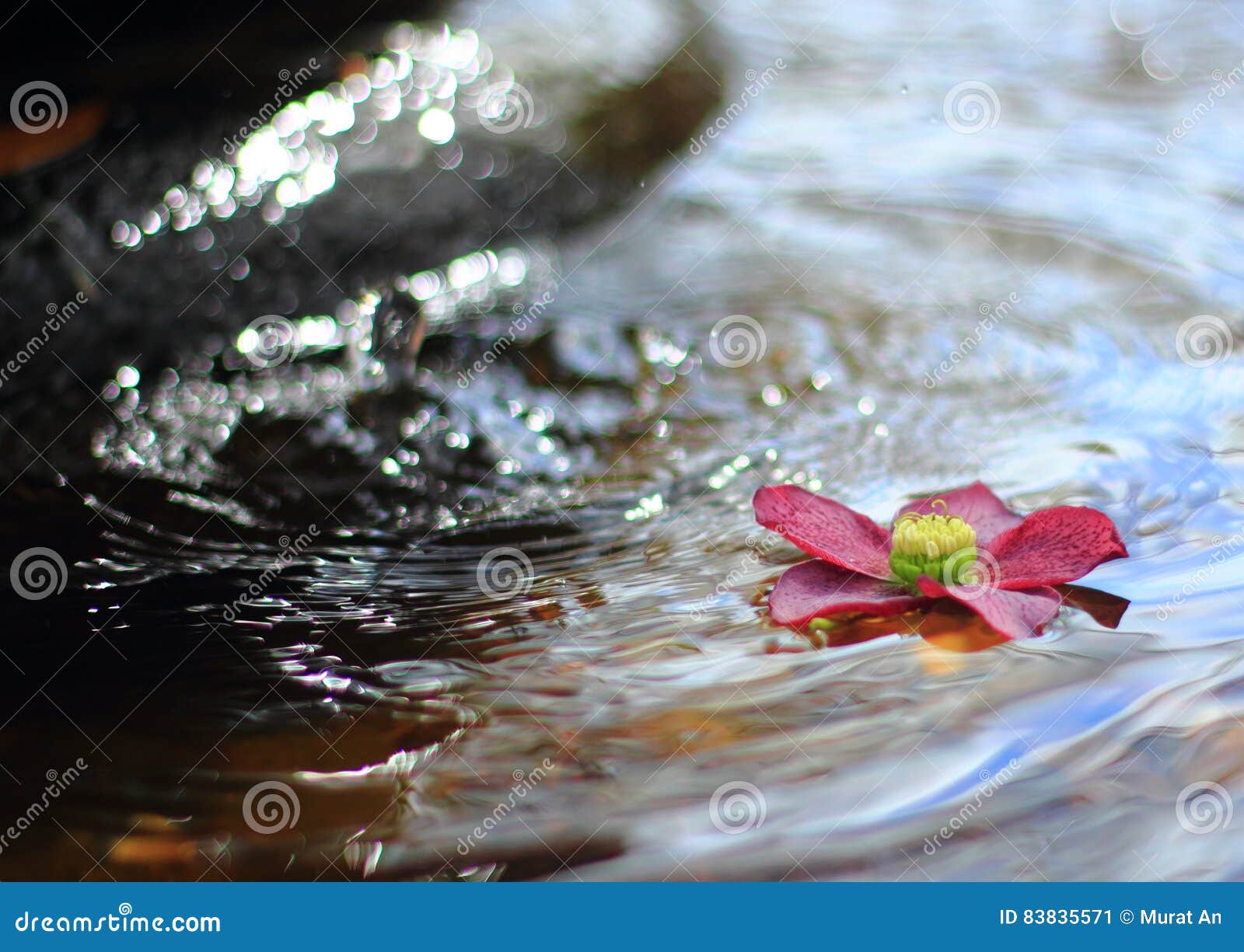 16,588 Waves Flower Stock Photos - Free & Royalty-Free Stock Photos ...