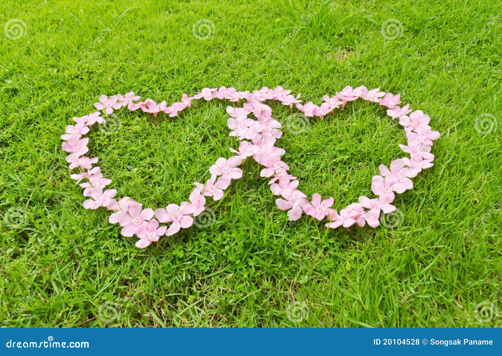 Pink flower love heart stock photo. Image of desktop - 20104528
