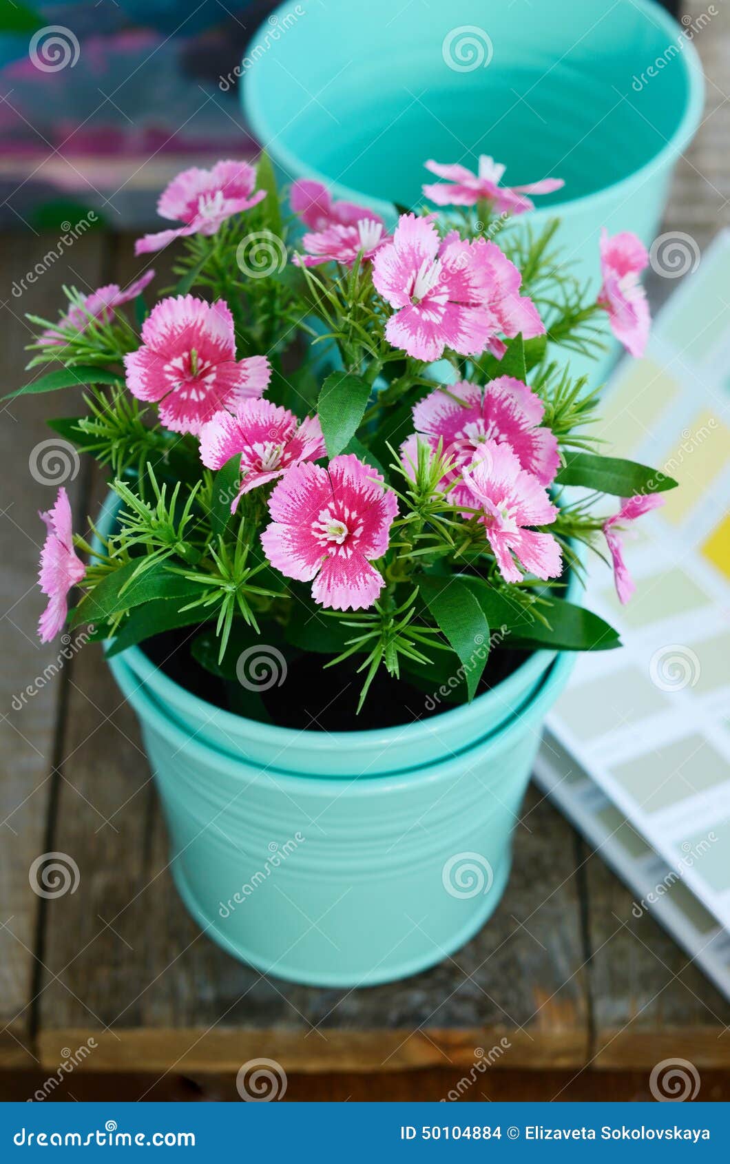 Pink Flower in Minty Flower Pot on Wooden Table Stock Photo - Image of ...