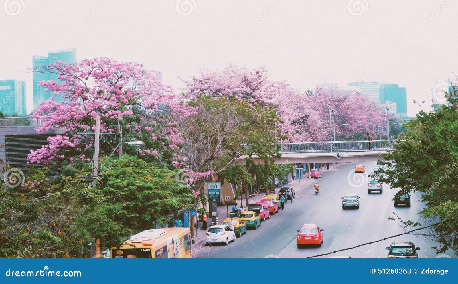 Pink Flower by the Road Background Editorial Stock Photo - Image of ...