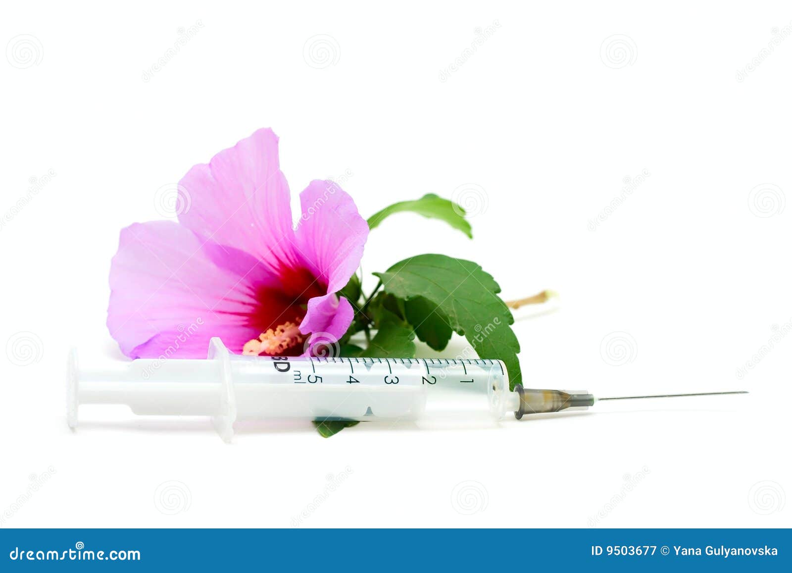 4,418 Pink Syringe Stock Photos - Free & Royalty-Free Stock Photos from ...