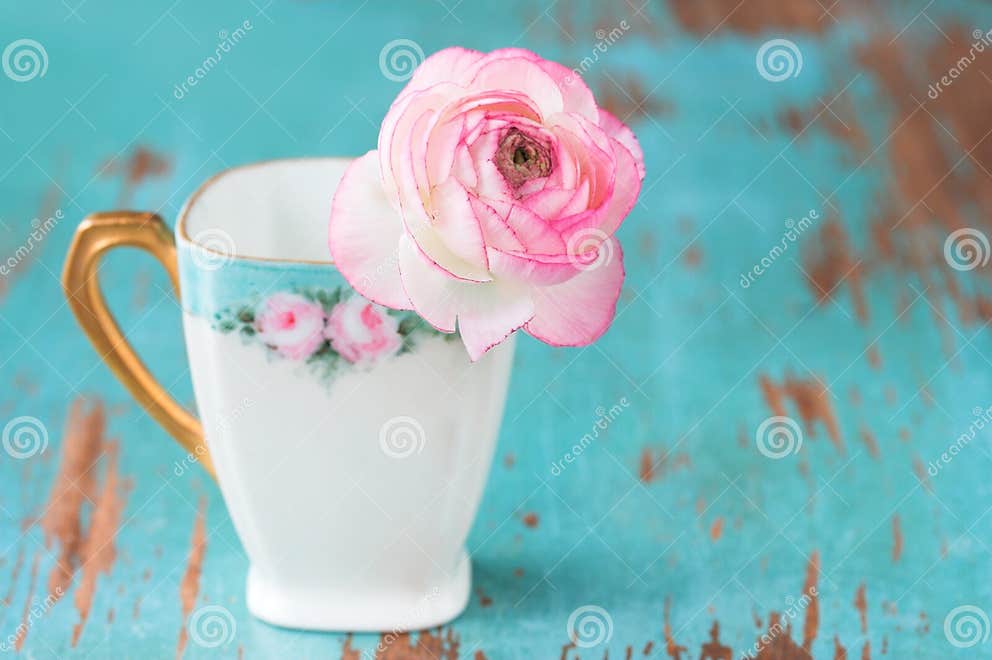 Pink Flower in teacup stock image. Image of pink, pretty - 6449949