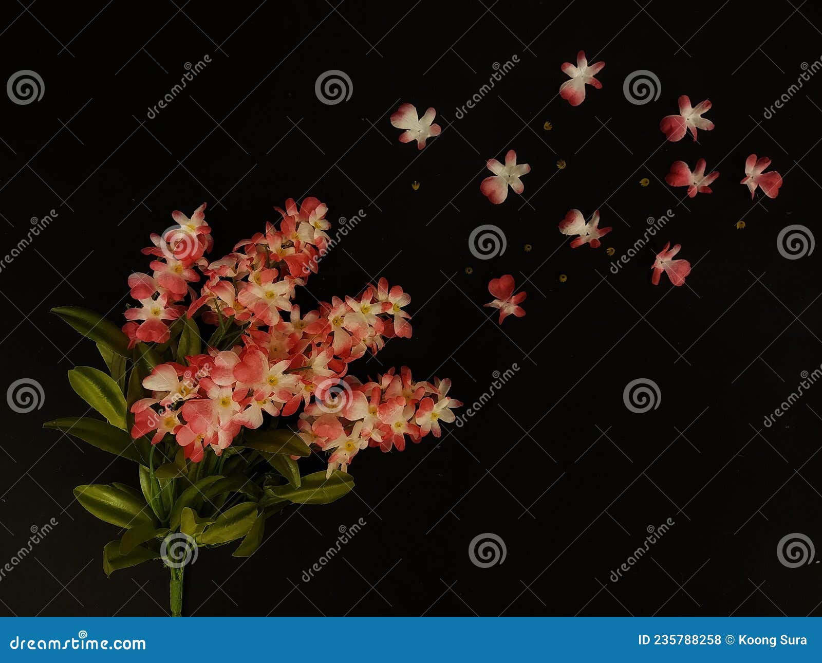 The Pink Flowers Blown by the Wind. Stock Photo - Image of pink, yellow ...