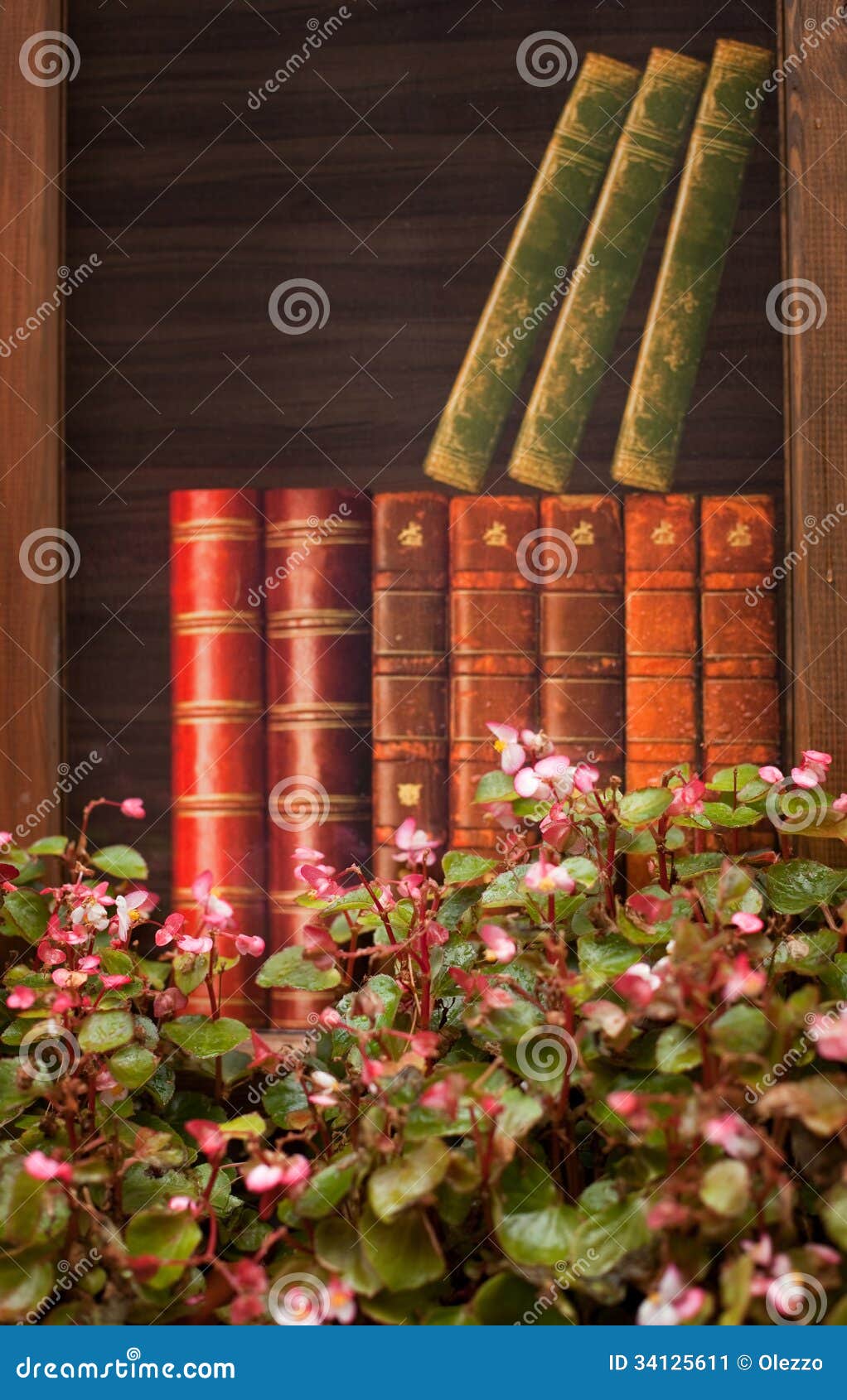 Pink flowers and books stock image. Image of pink, backgrounds - 34125611
