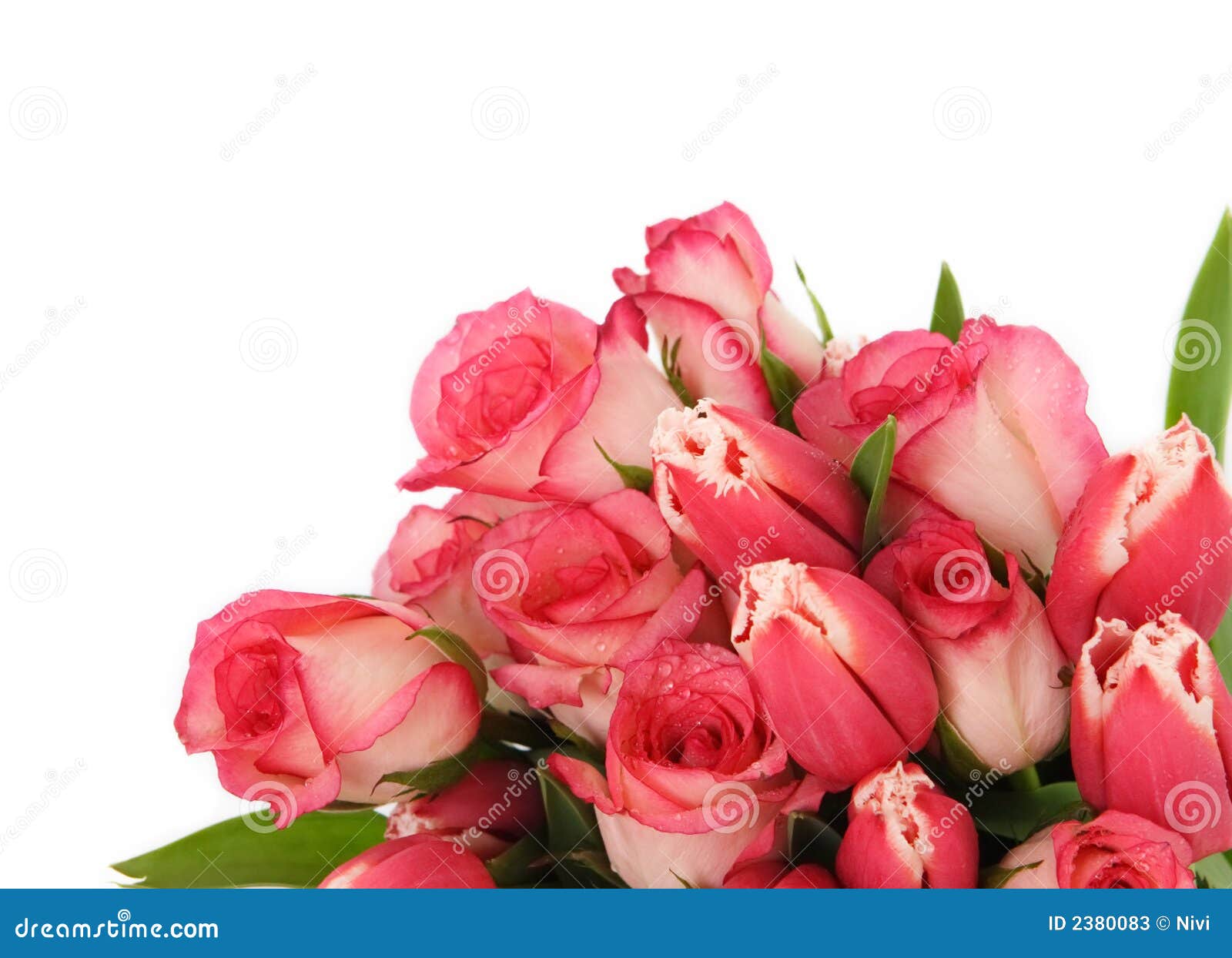 Pink flowers bouquet stock image. Image of fringed, color - 2380083