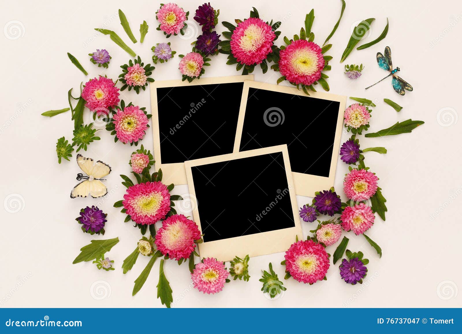 Pink Flowers and Empty Photo Frame on White Background Stock Image ...
