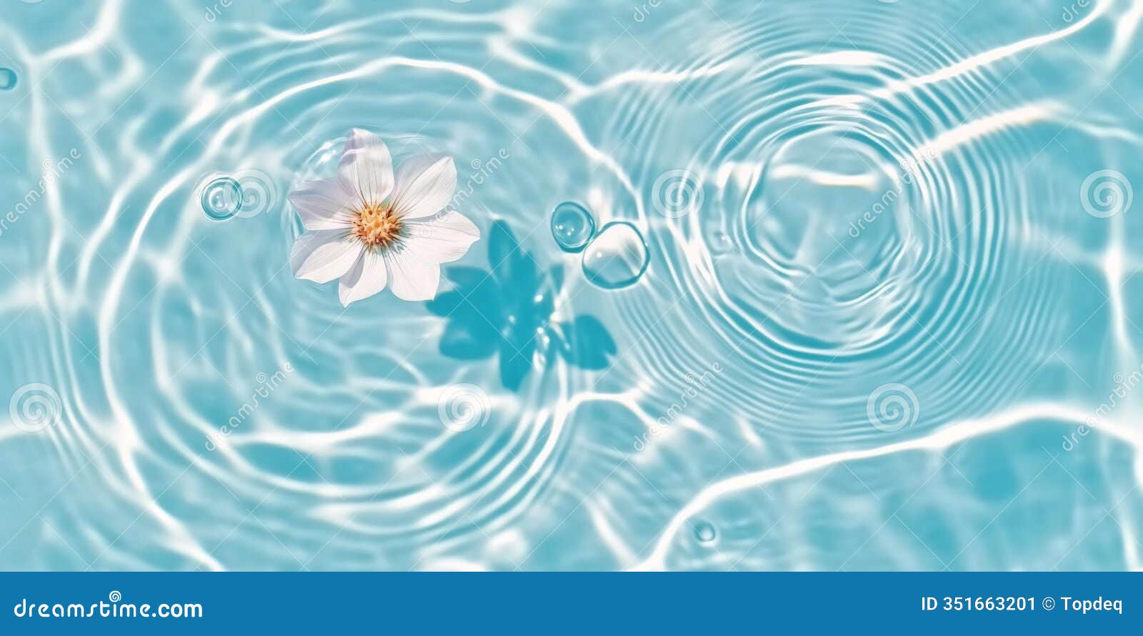 Pink Flowers Floating on Water Surface with Ripples, Perfect for SPA ...