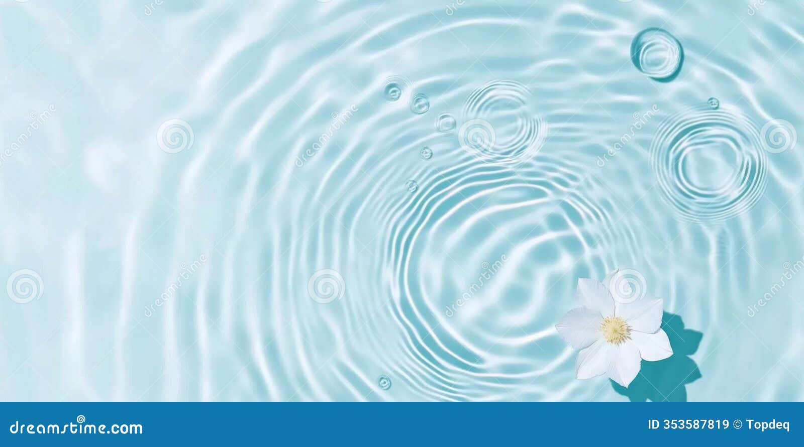 Pink Flowers Floating on Water Surface with Ripples, Perfect for SPA ...