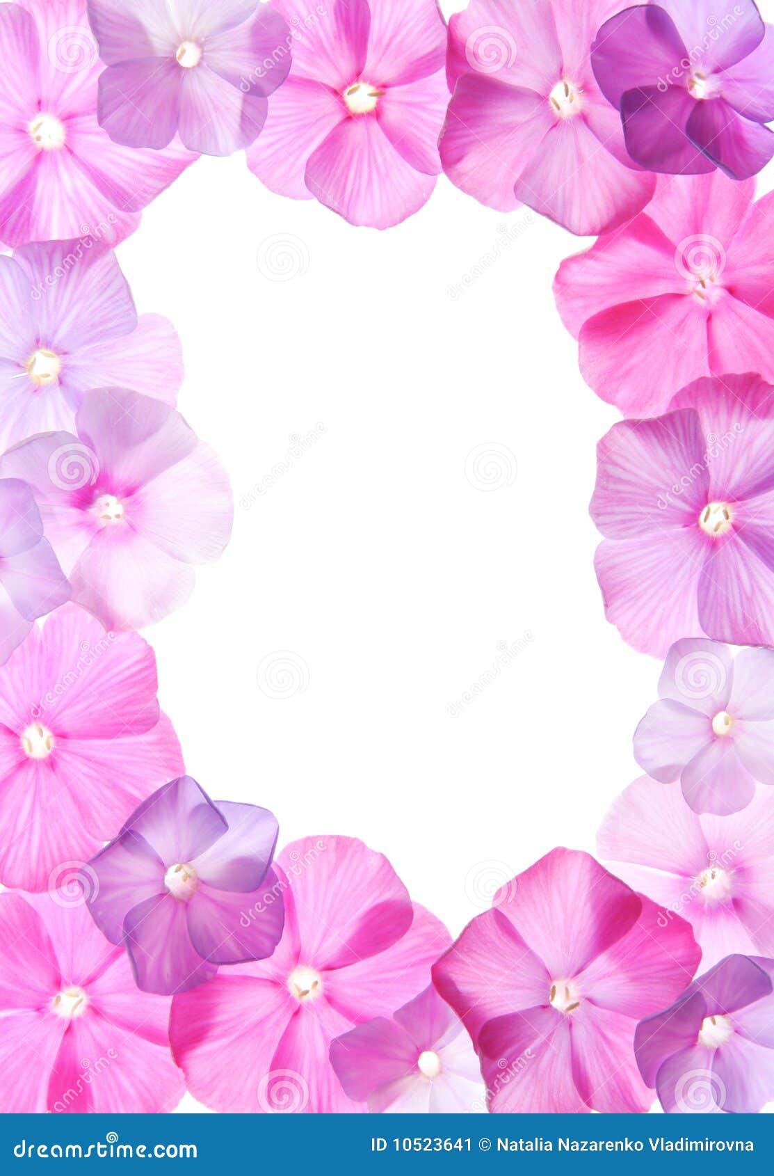 Pink flowers, frame design stock image. Image of elements - 10523641