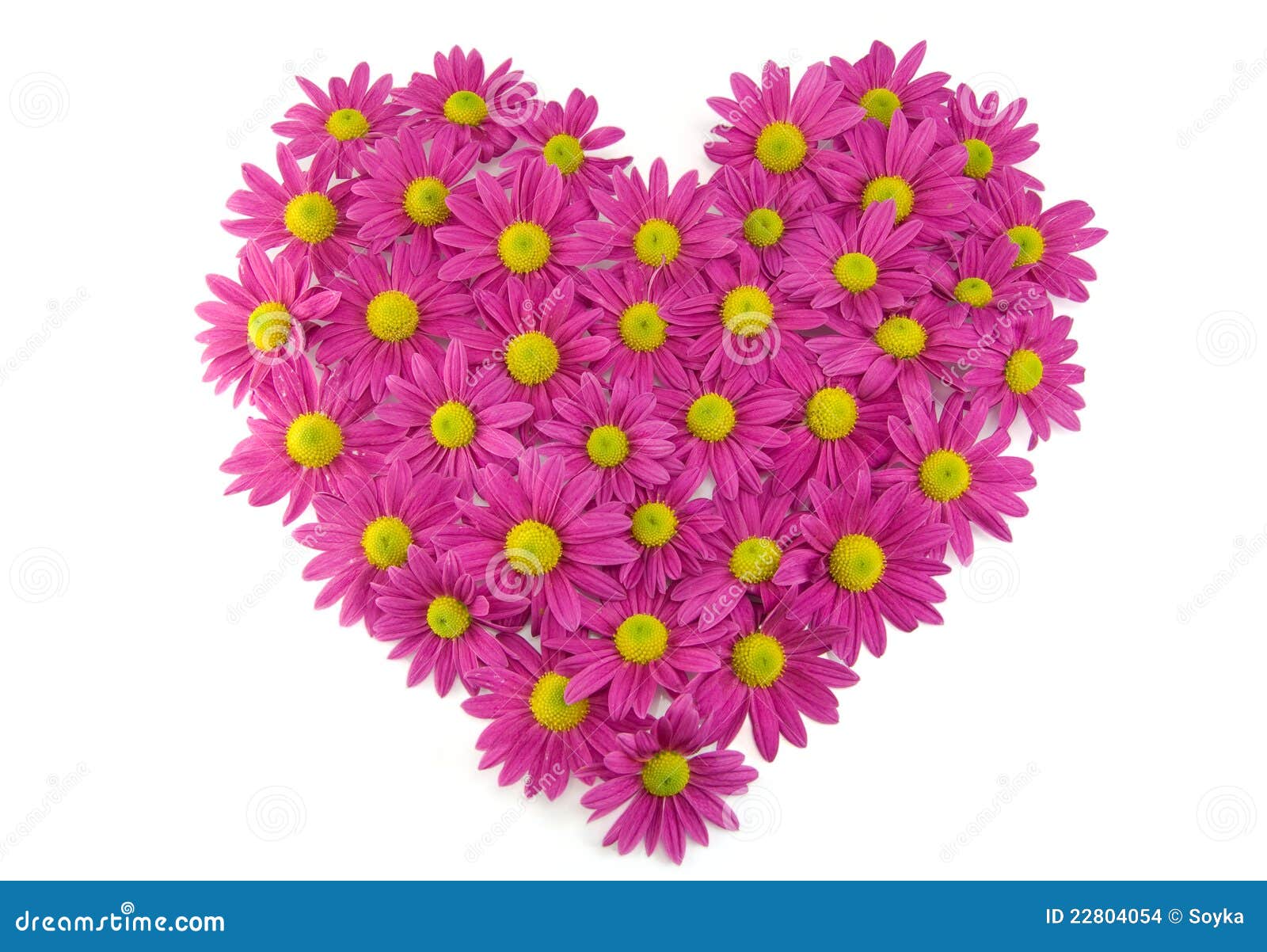Pink Flowers in a Heart Shape Stock Photo - Image of occasion ...