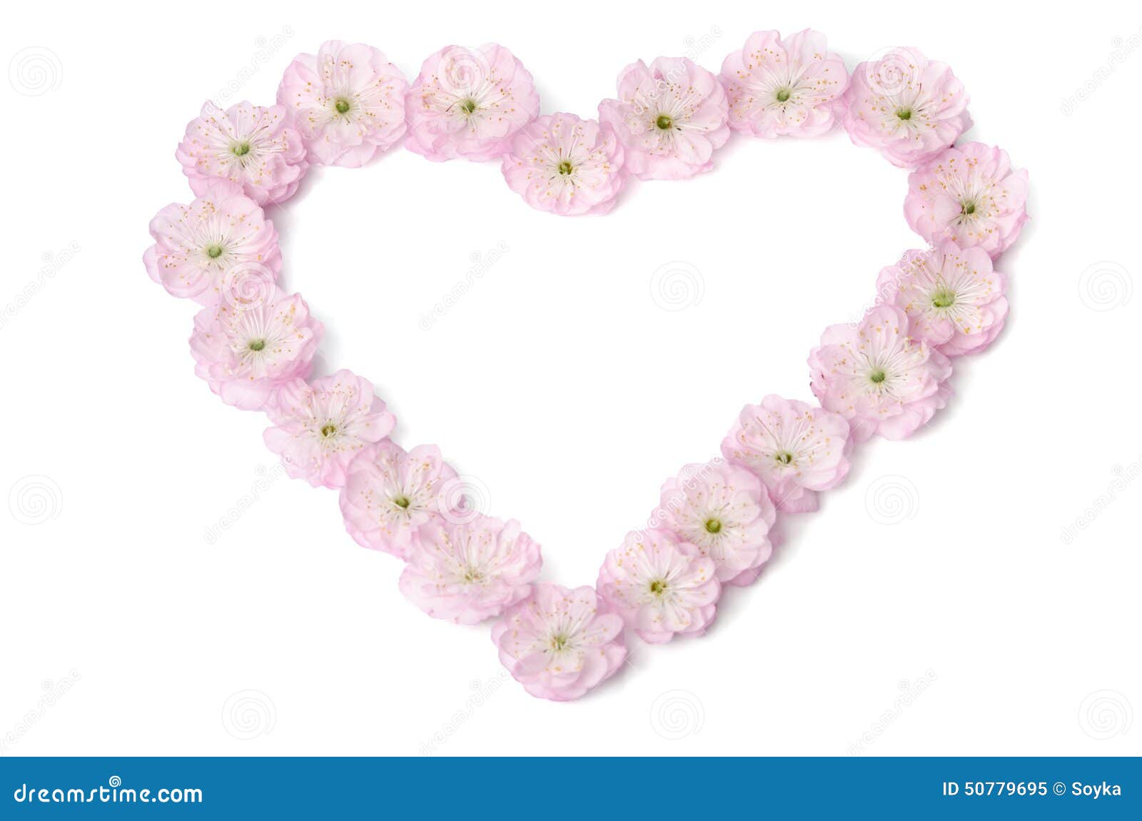 Pink Flowers in a Shape of Heart Stock Image - Image of focus, border ...