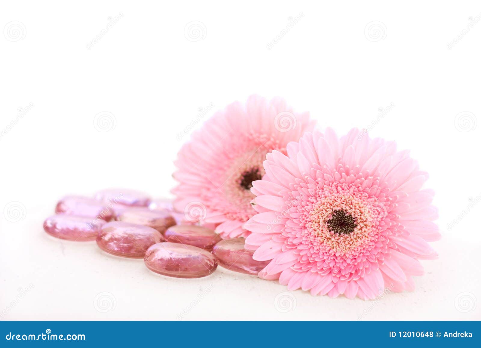 Pink Flowers and Spa Stones Stock Photo - Image of text, towel: 12010648