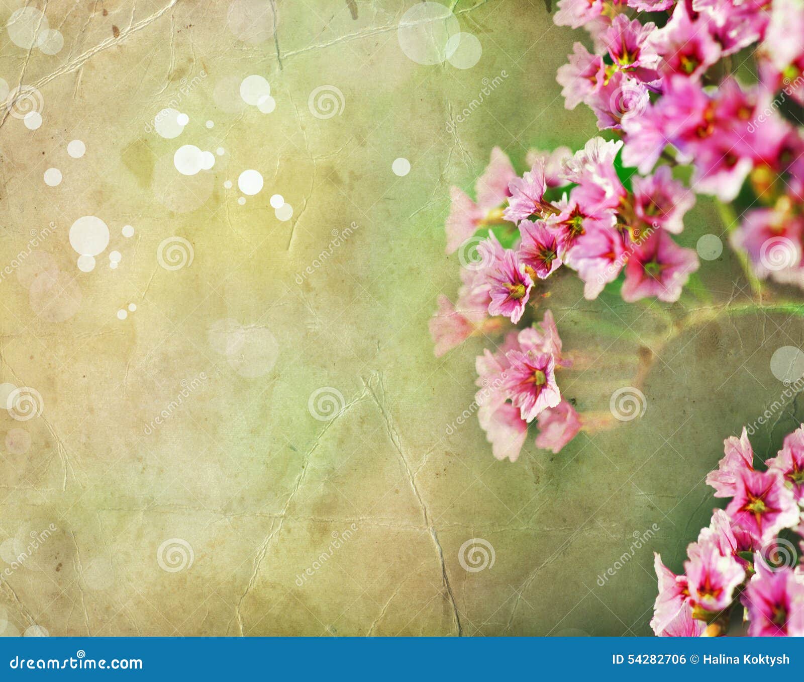 Pink Flowers Spring Romantic Background Stock Photo - Image of outdoor ...
