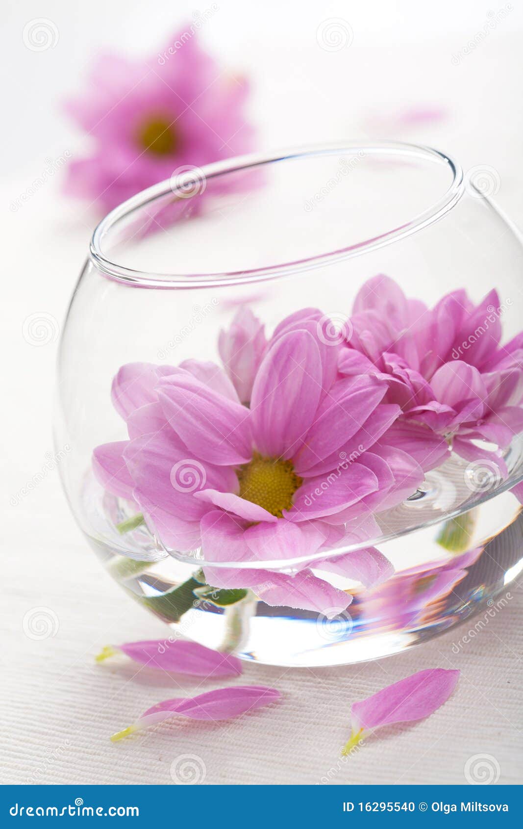 Pink flowers in vase stock photo. Image of wellness, vase - 16295540