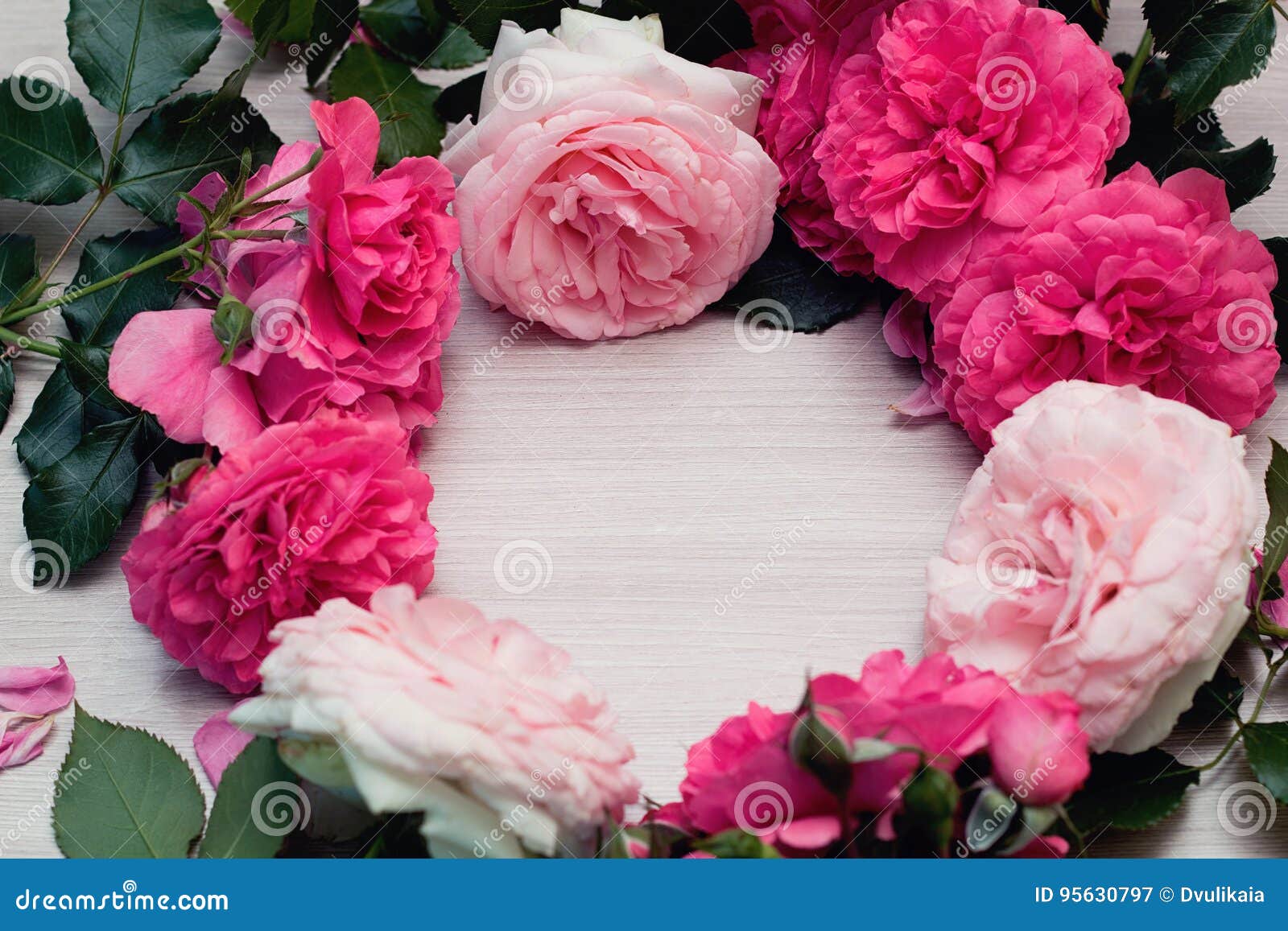 Pink Fluffy Roses on the Table Stock Image - Image of table, rose: 95630797
