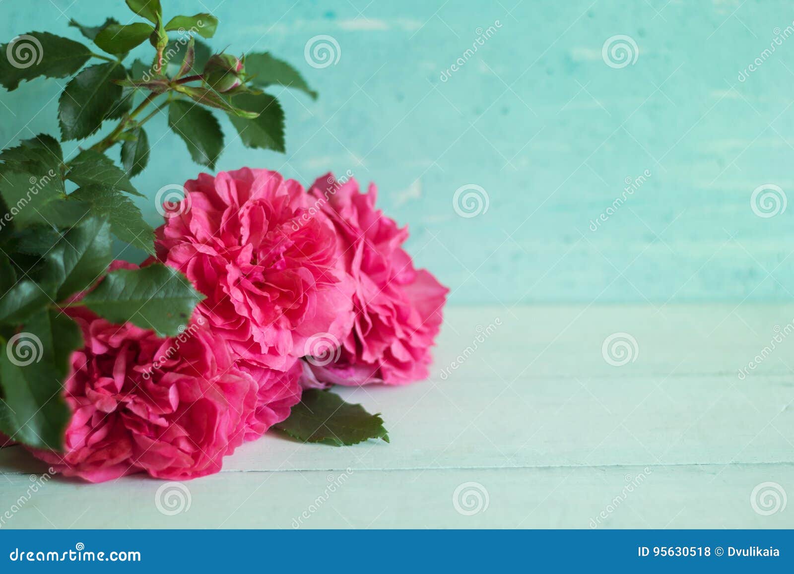 Pink Fluffy Roses on a Table Stock Photo - Image of pink, copy: 95630518
