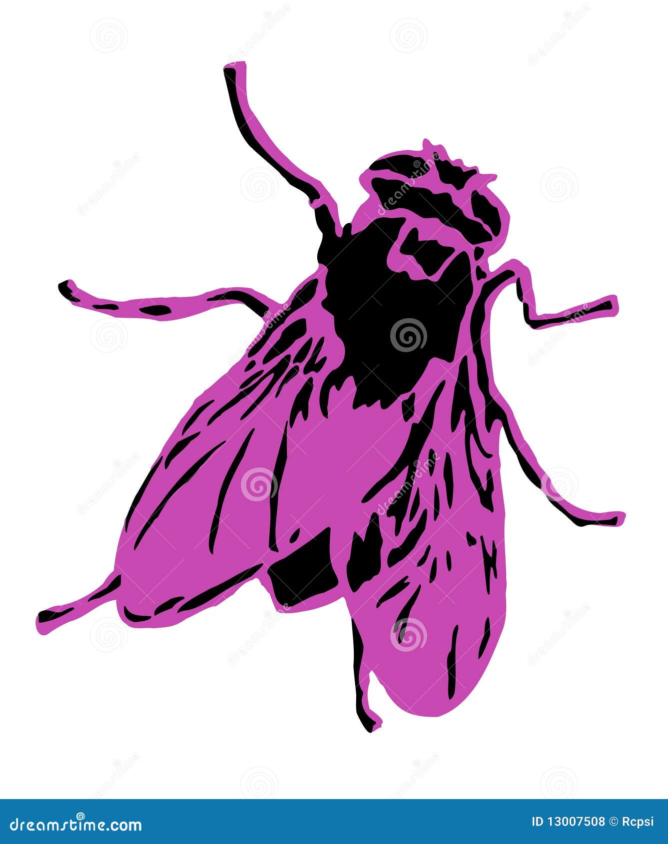 Pink Fly stock vector. Illustration of drawing, cartoon - 13007508