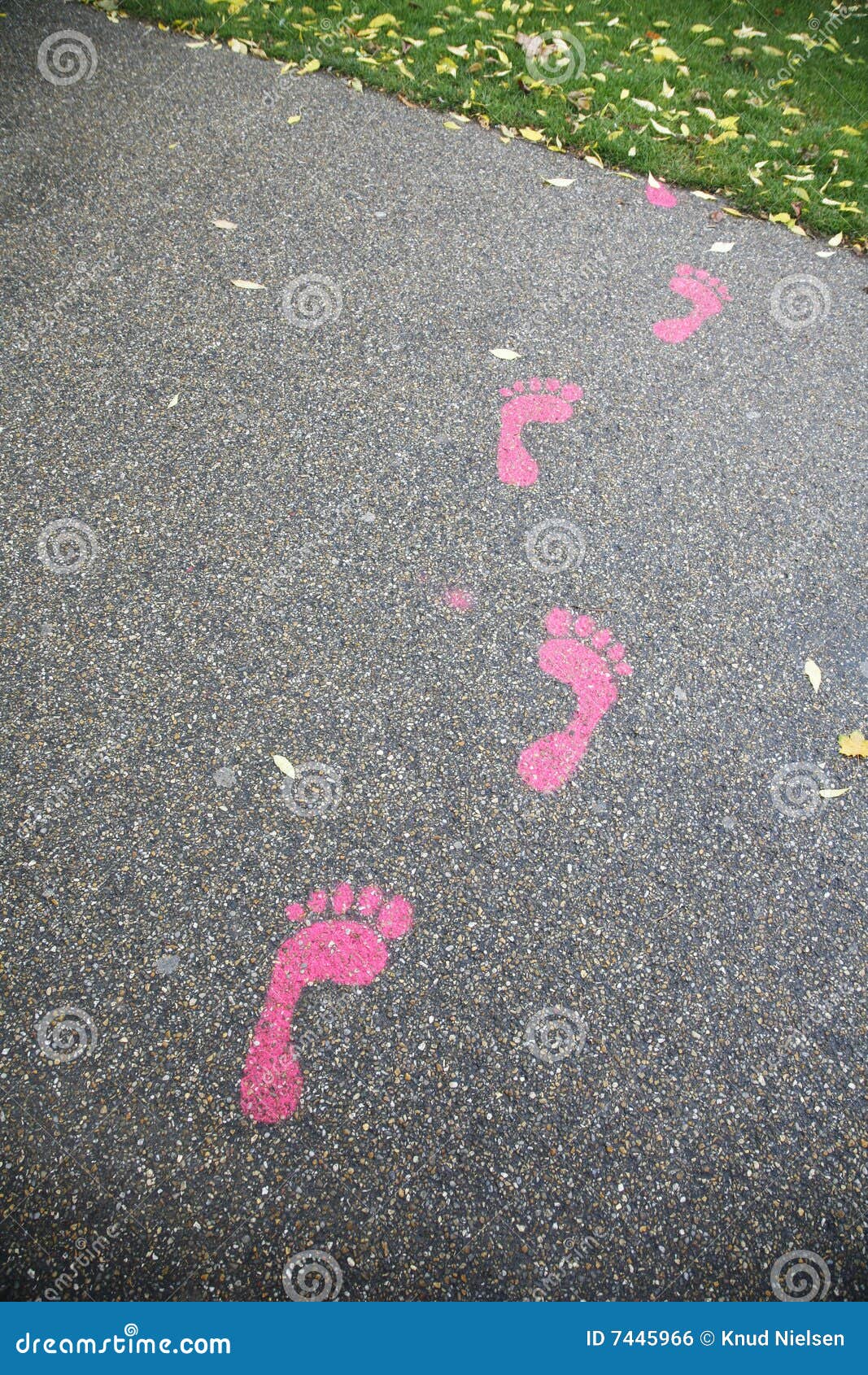 Pink footprint stock photo. Image of outdoors, fall, vertical - 7445966