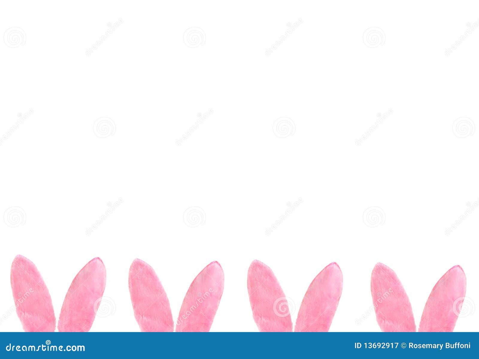 Pink Furry Bunny Ears Bottom Border Stock Image - Image of macro ...