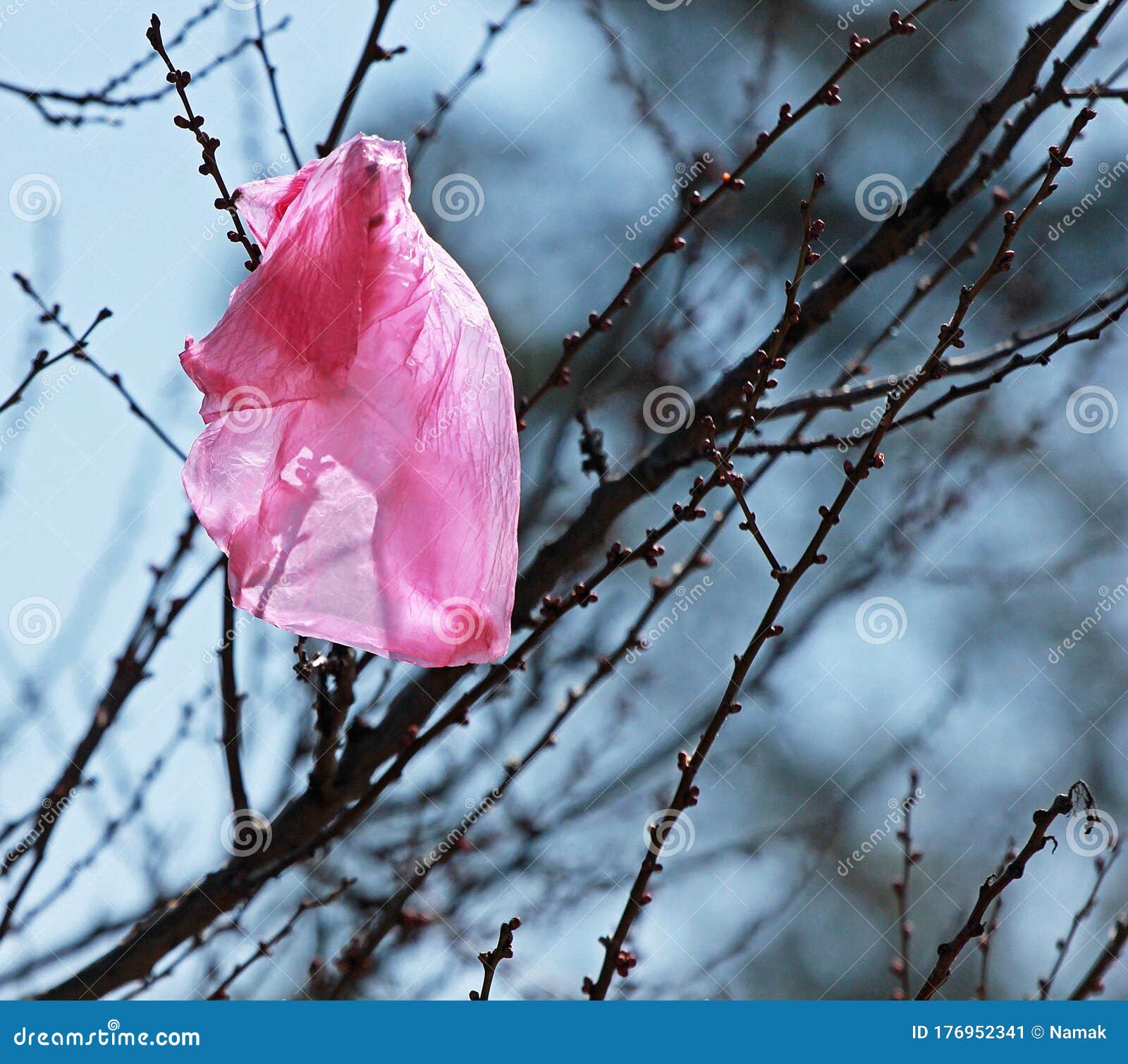 A Pink Garbage Can Full Of Different Paper Banknotes Against Green ...
